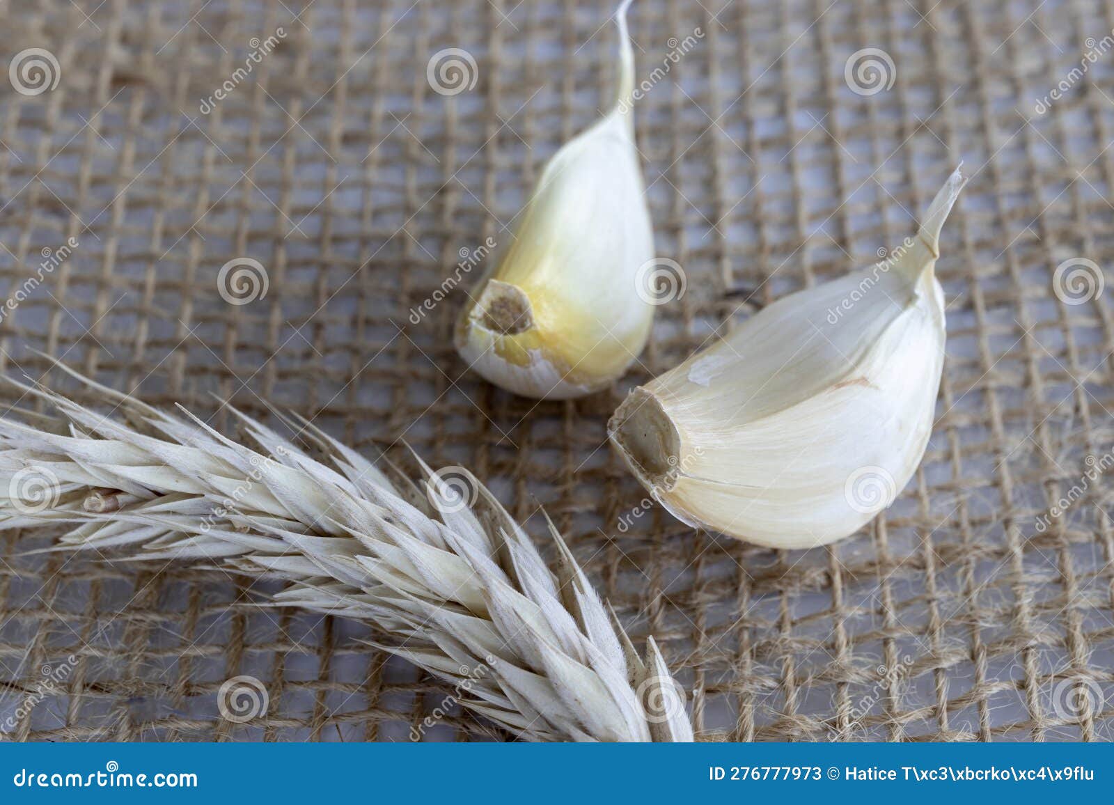 A Whole Piece of Garlic and Small Pieces of Garlic. Close-up Stock ...
