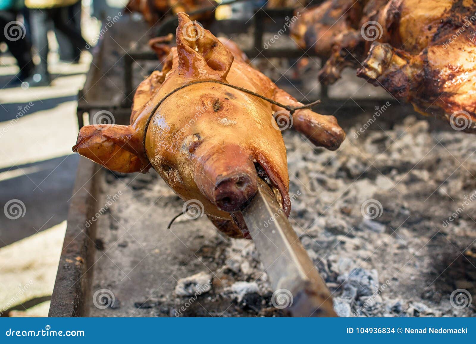 A Whole Pig Being Roasted on a Fire Stock Photo - Image of food ...