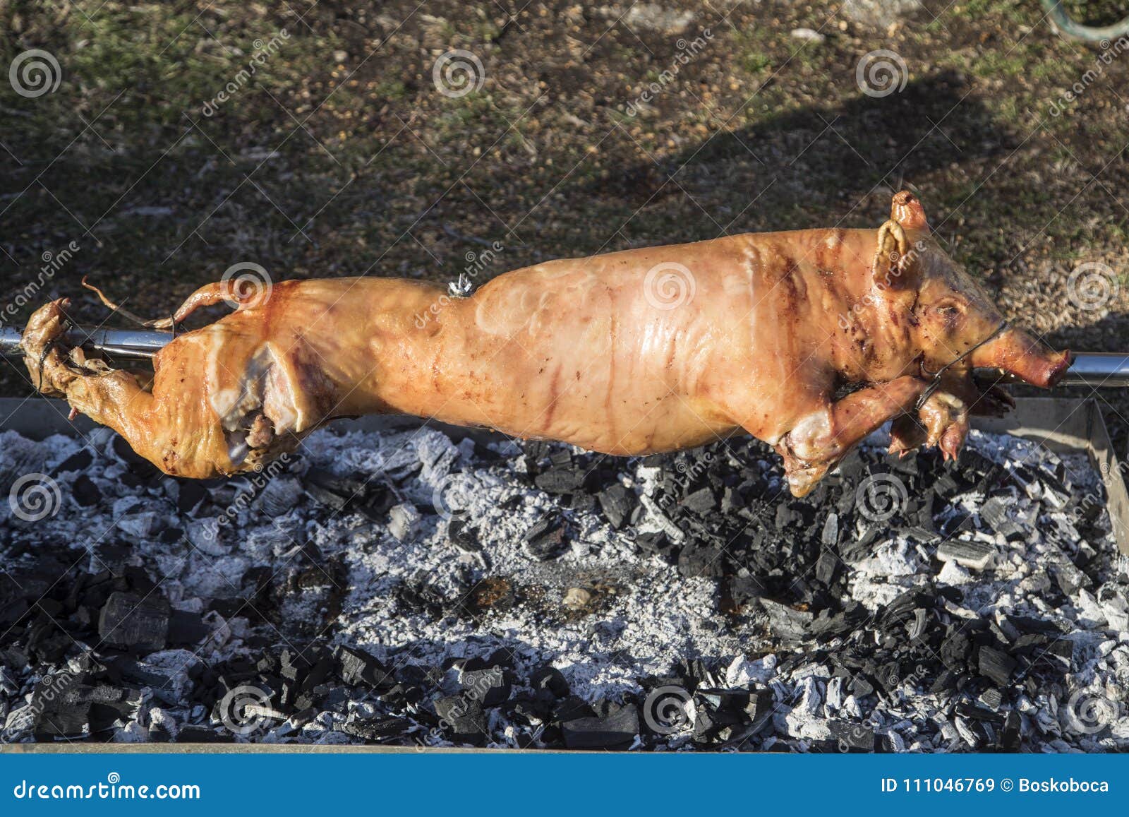 Whole roast pig stock image. Image of meat, celebration - 111046769