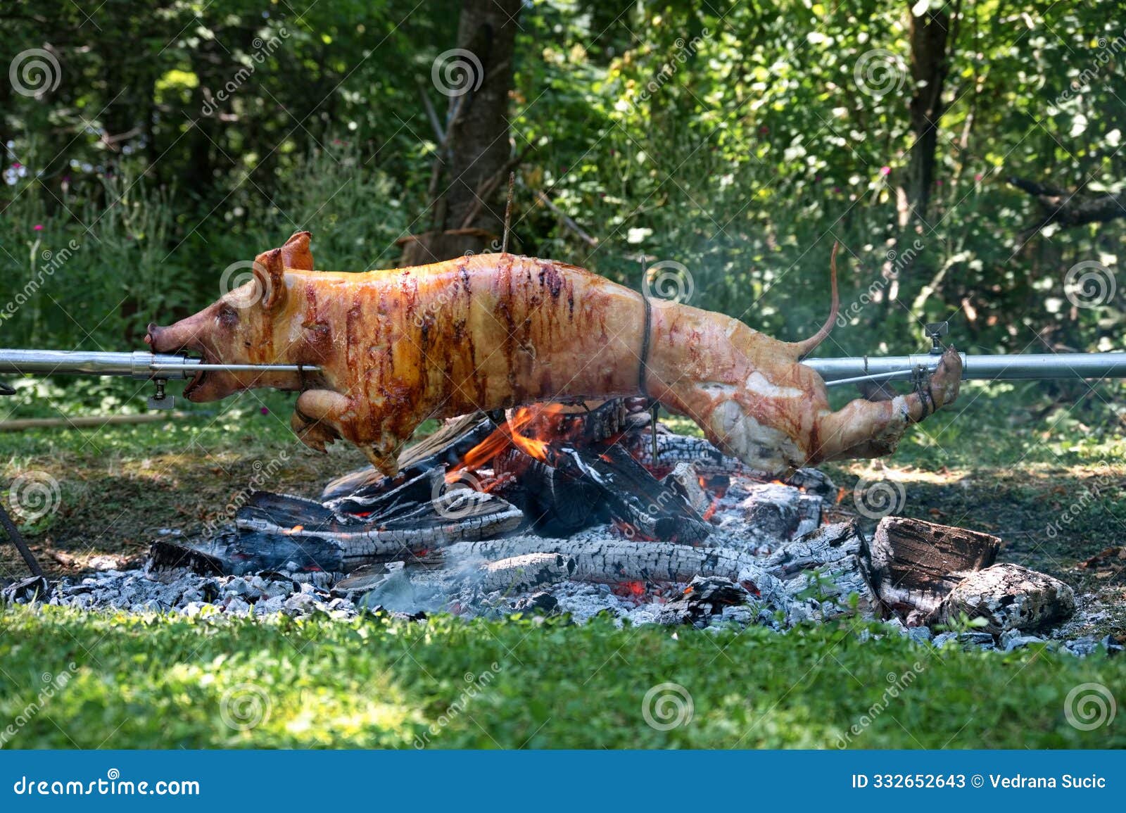 Whole pig on a spit stock image. Image of lunch, heat - 332652643