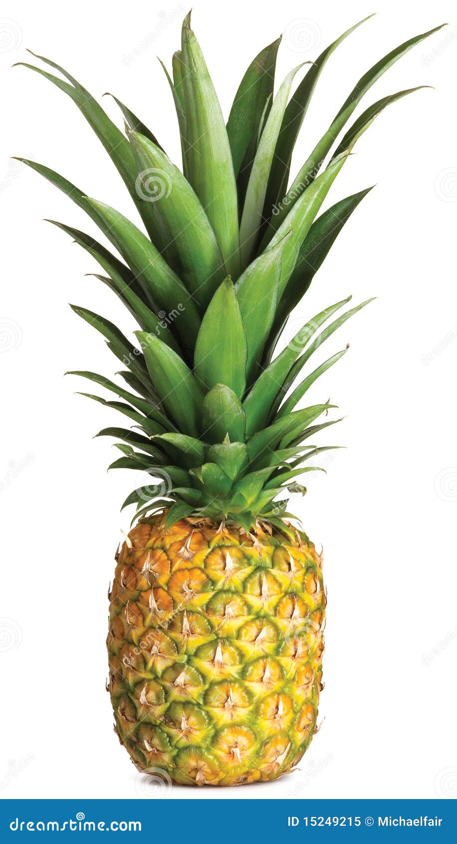 Whole pineapple stock image. Image of tasty, isolated - 15249215