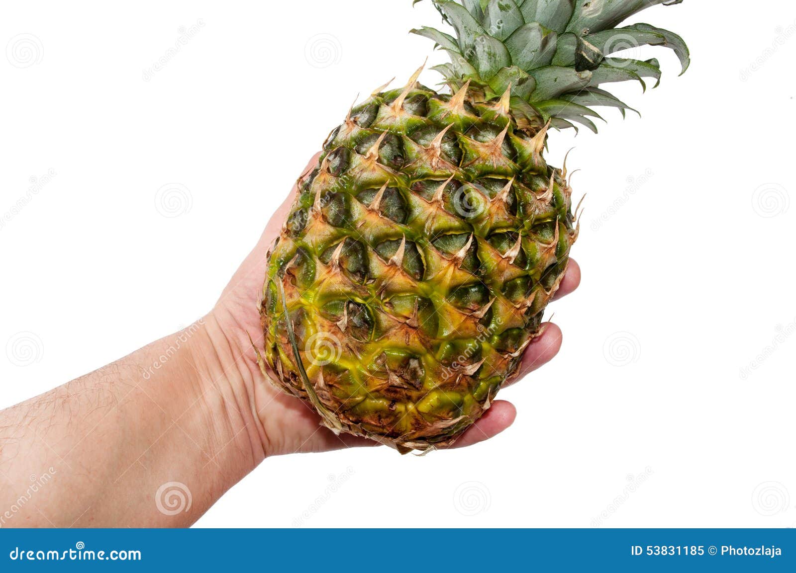 The Whole Pineapple in the Hand Stock Image - Image of healthy, fruits ...