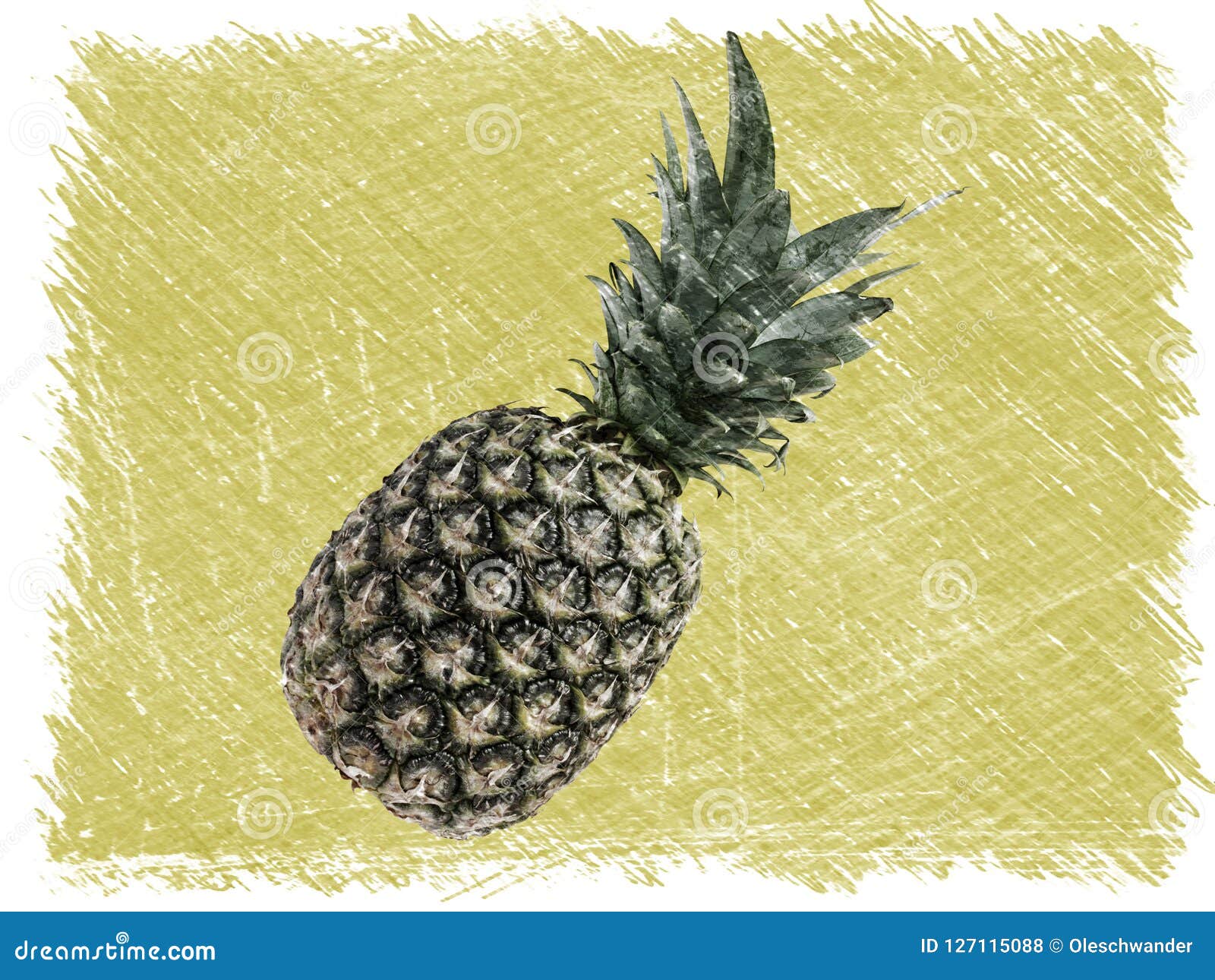Whole Pineapple Skech Drawing. Top View, Copy Space Stock Illustration ...
