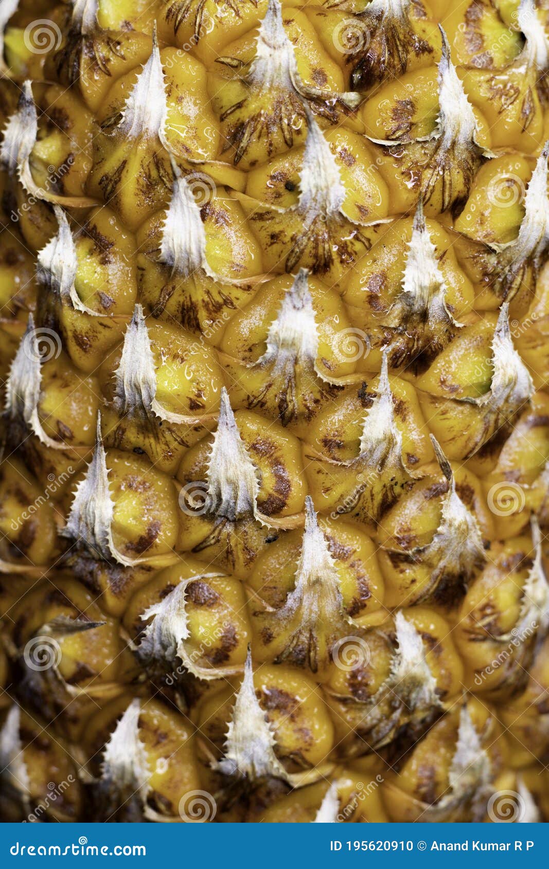 Whole Pineapple Texture Isolated on Dark Background Stock Photo - Image ...