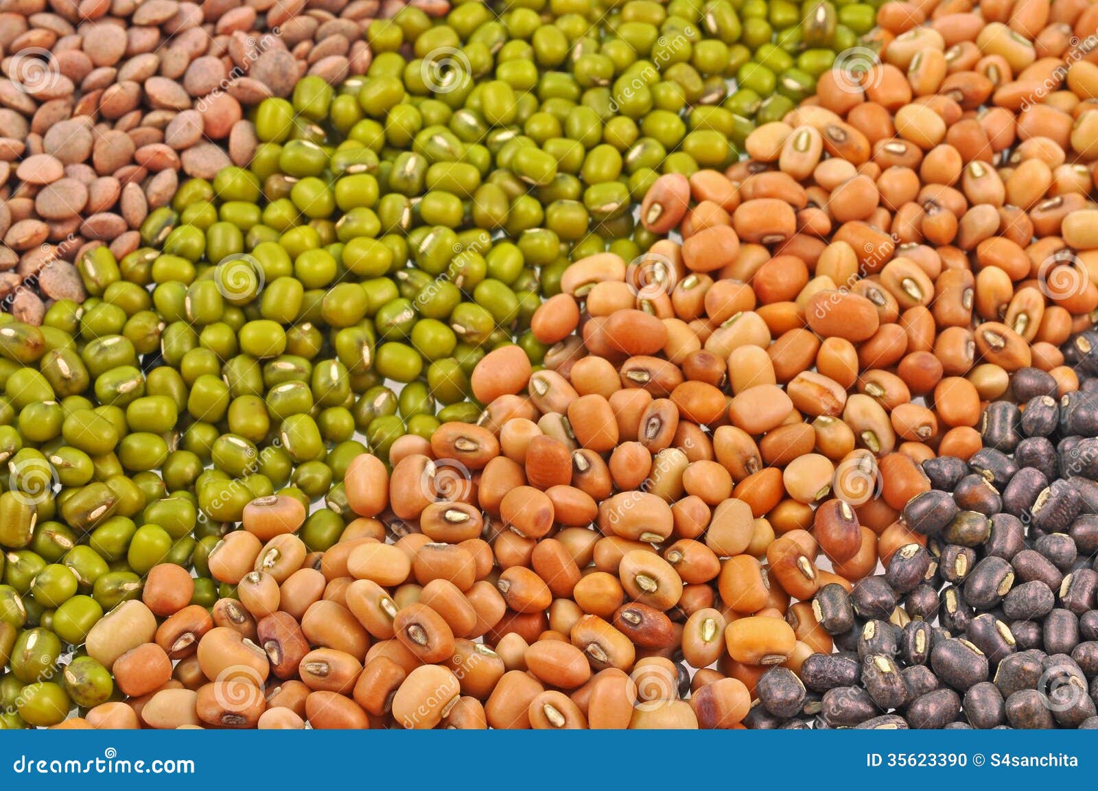 Whole pulse seeds stock photo. Image of green, husk, lobia - 35623390