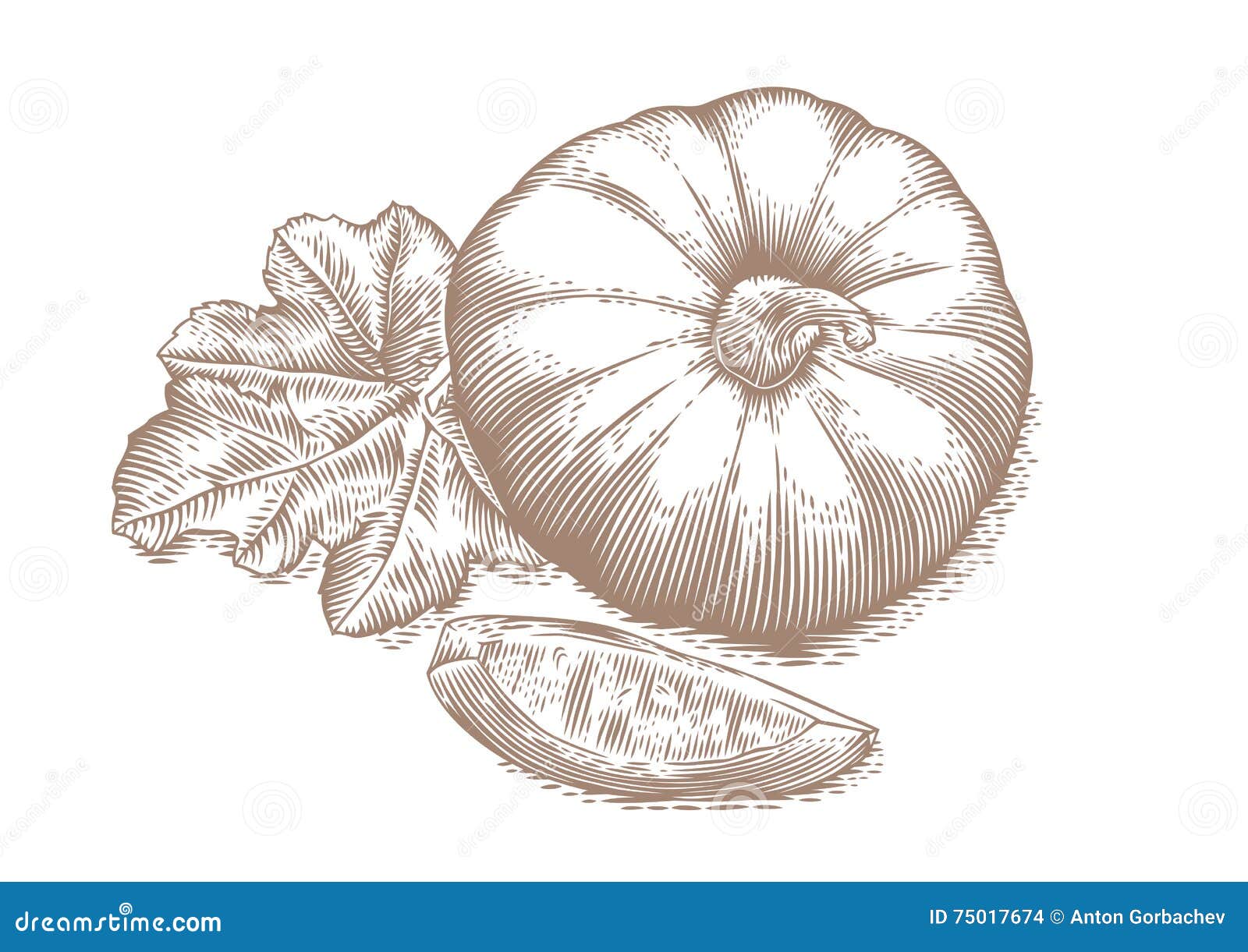 Whole Pumpkin with Piece and Green Leaf Stock Vector - Illustration of ...