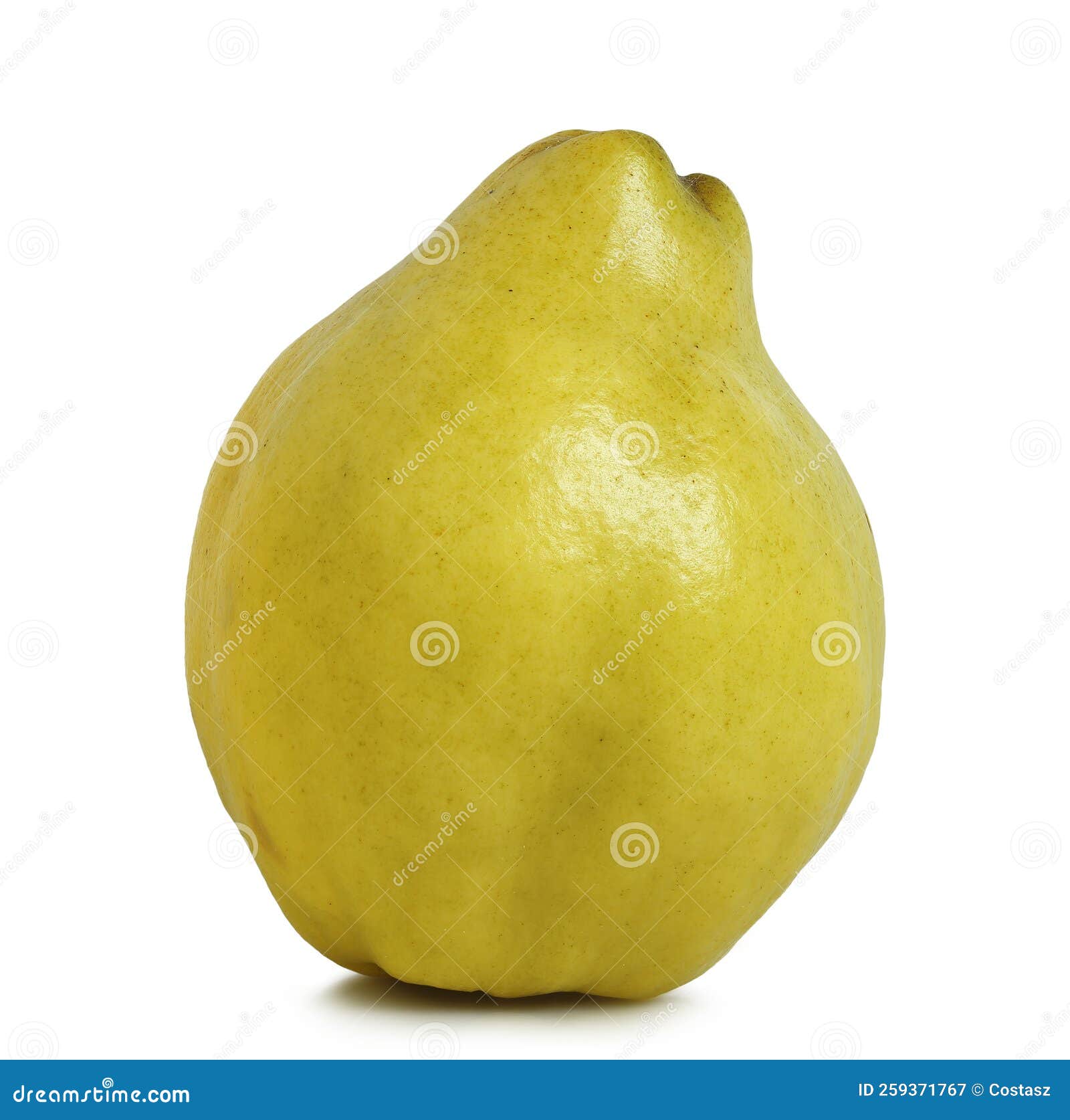 Whole quince isolated stock image. Image of nutrition - 259371767