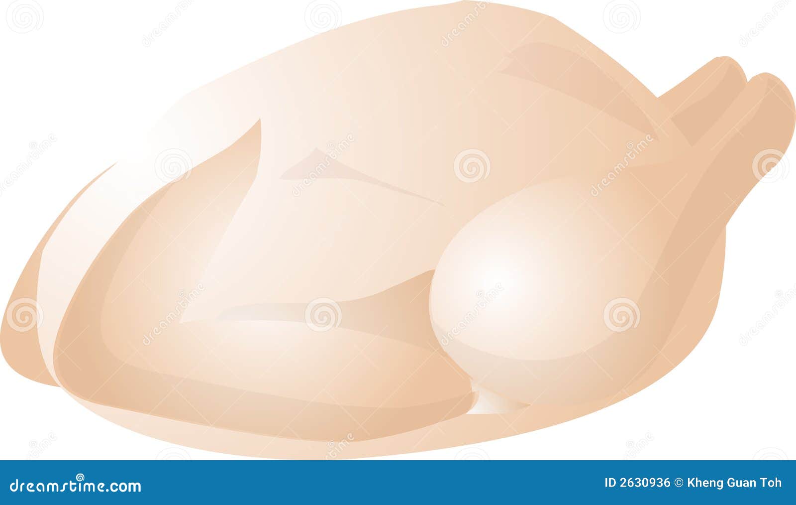 Whole raw chicken stock vector. Illustration of poultry - 2630936