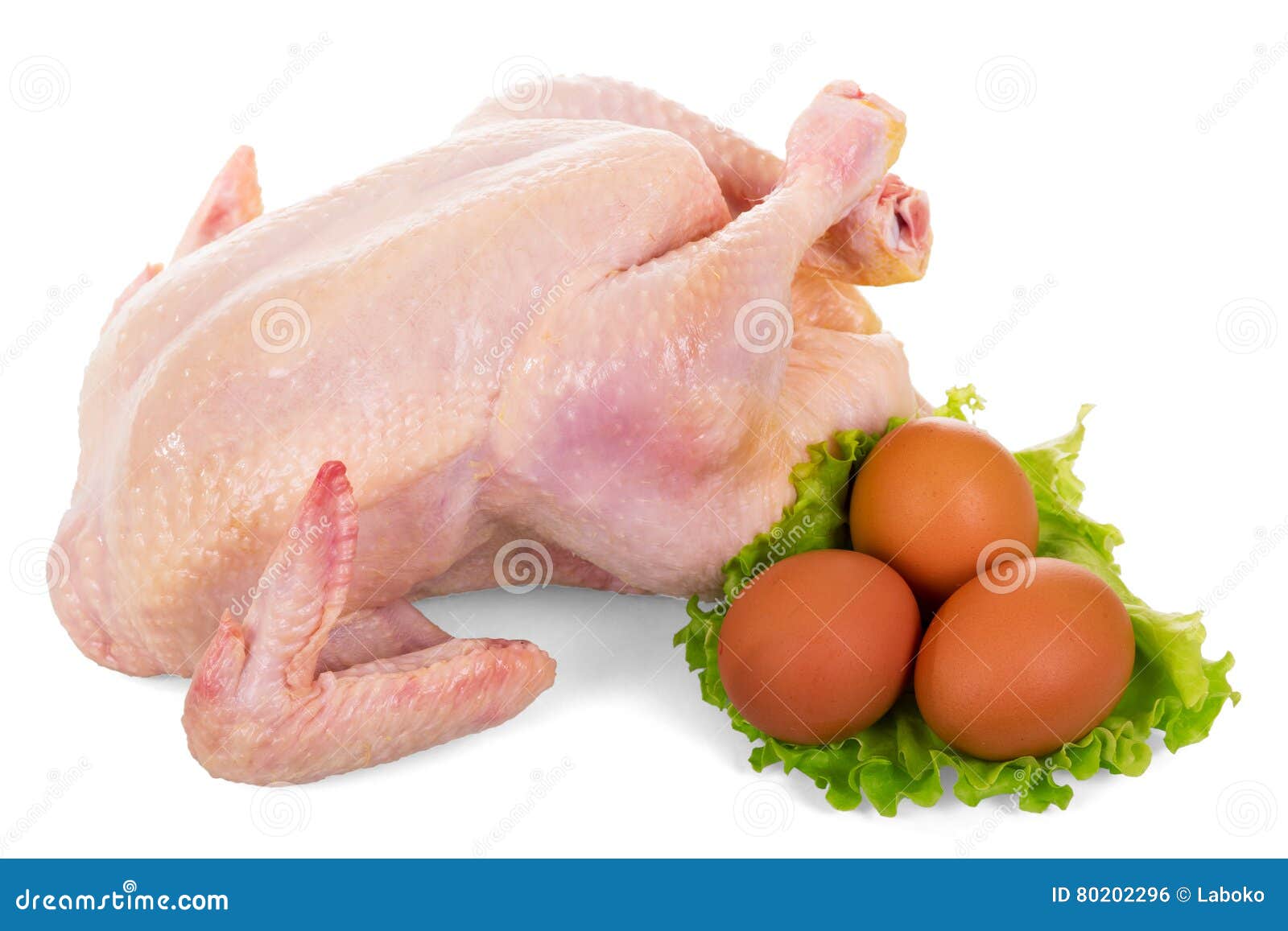 Raw Chicken Meat Isolated On A White Background. Healthy Eating Fresh ...