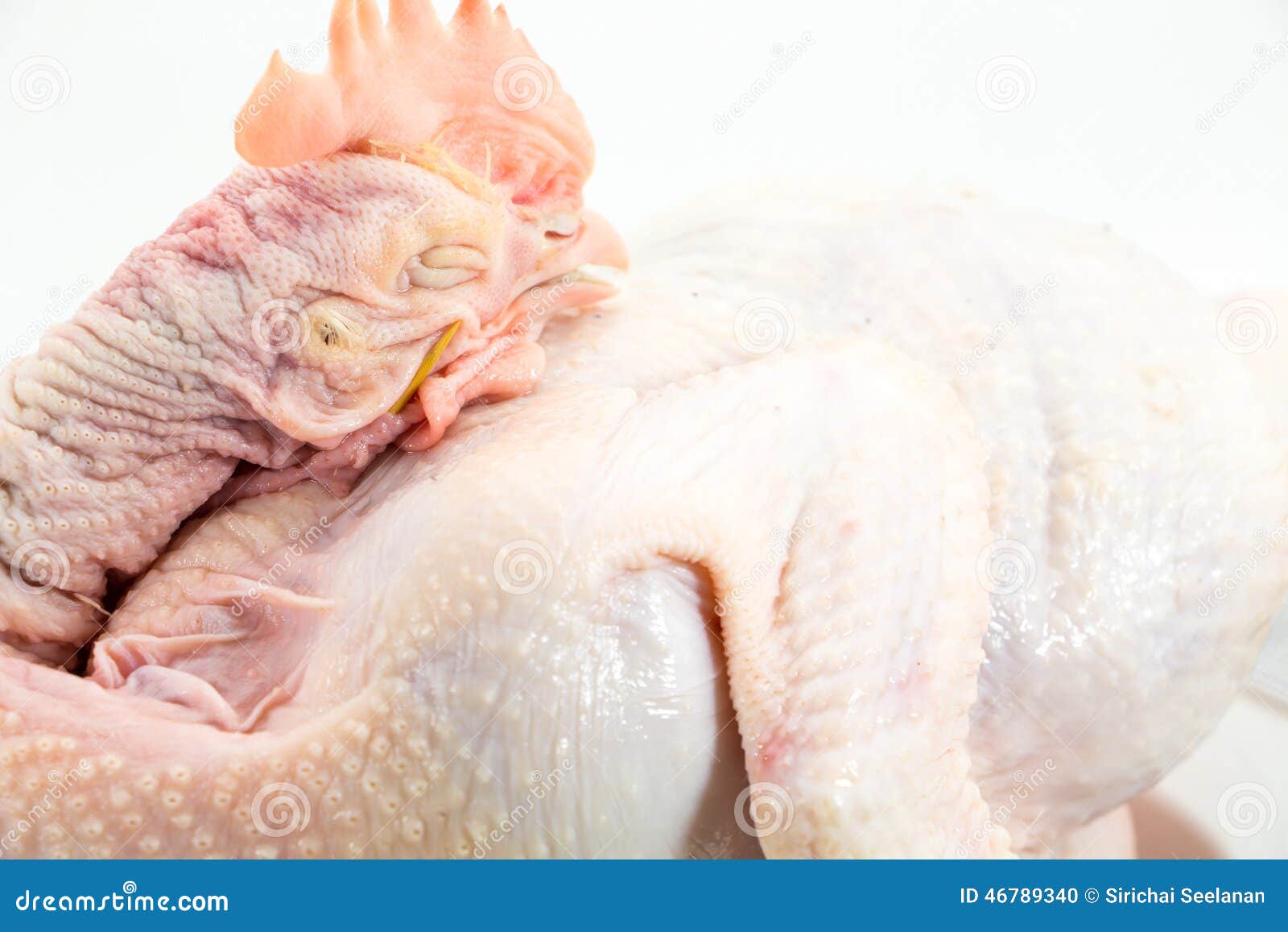 Whole Raw Chicken on a White Stock Photo - Image of chicken, poultry ...