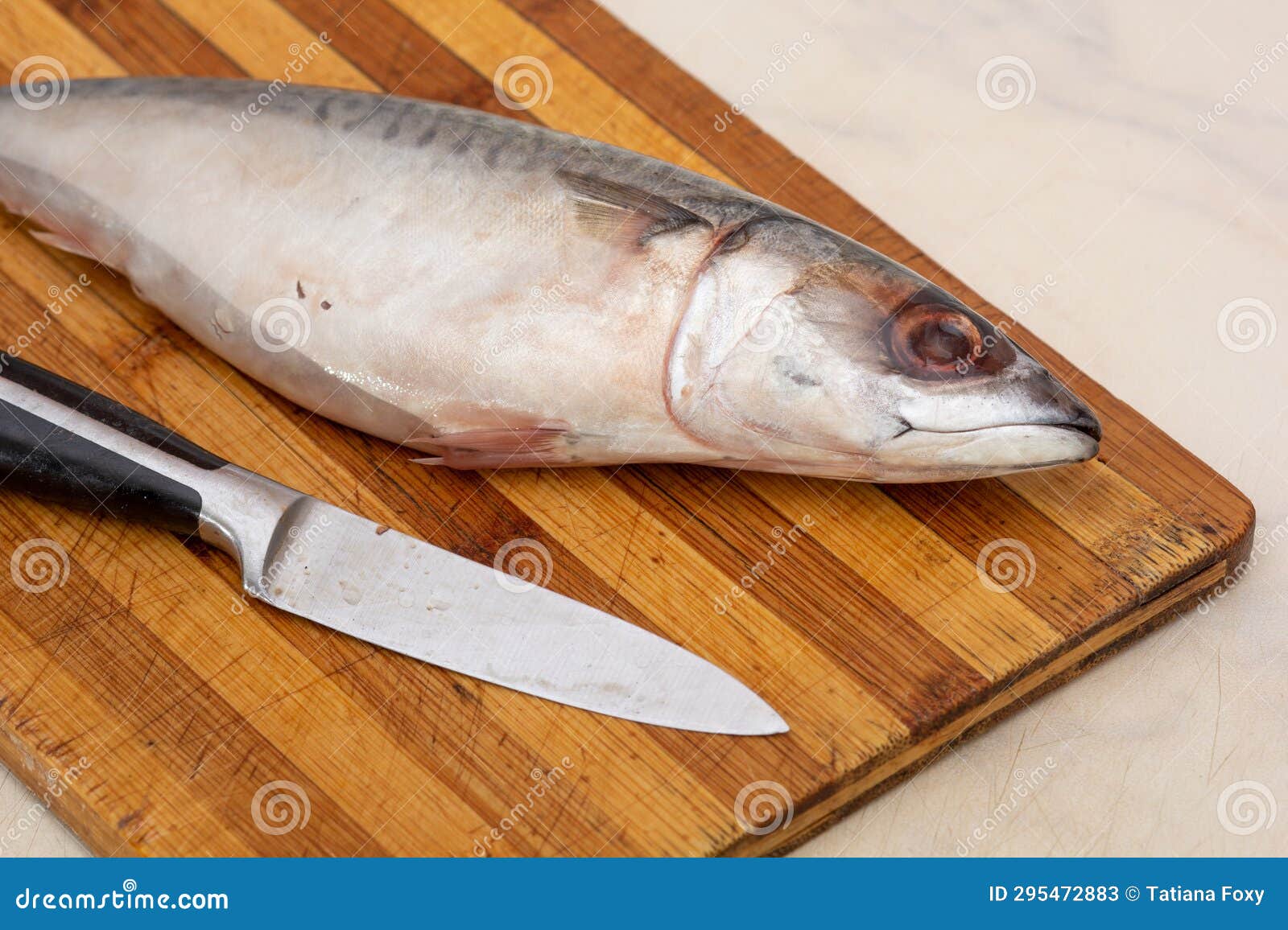 Whole raw mackerel fish stock image. Image of fish, unprocessed - 295472883
