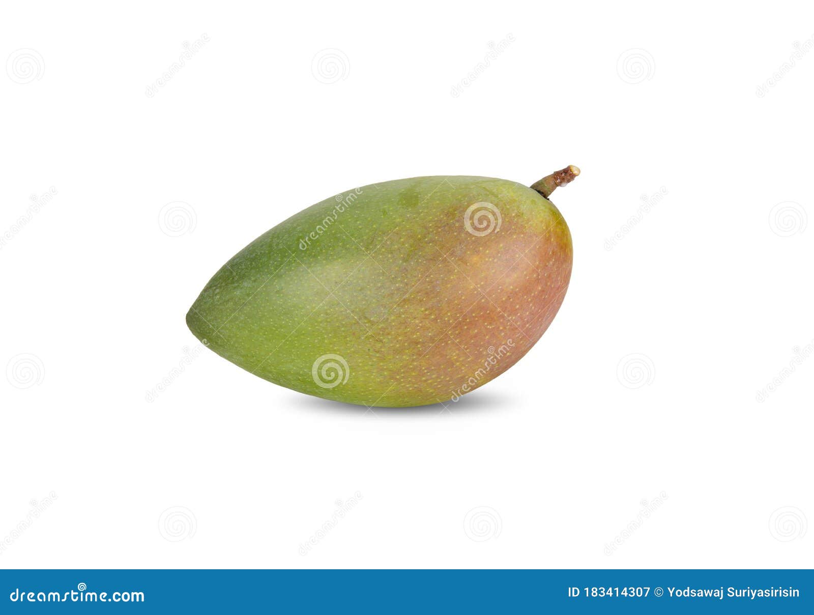 Whole Raw Mango with Stem on White Background Stock Image - Image of ...