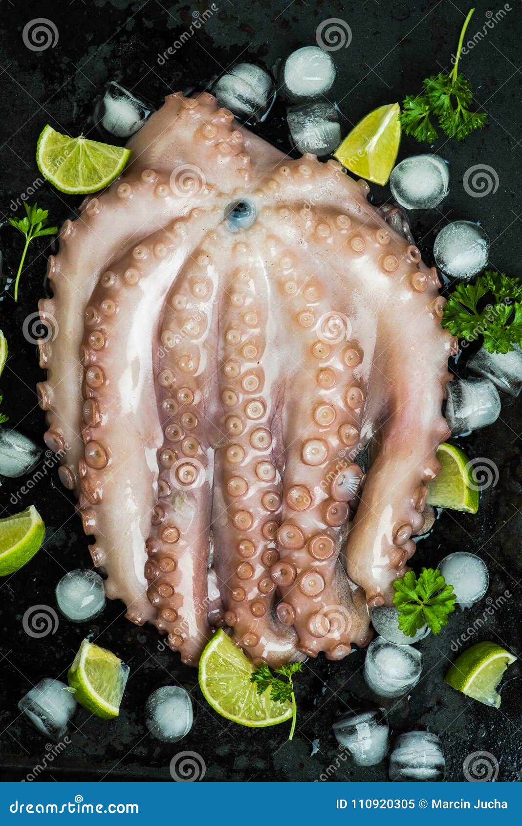 Whole raw octopus seafood stock image. Image of food - 110920305