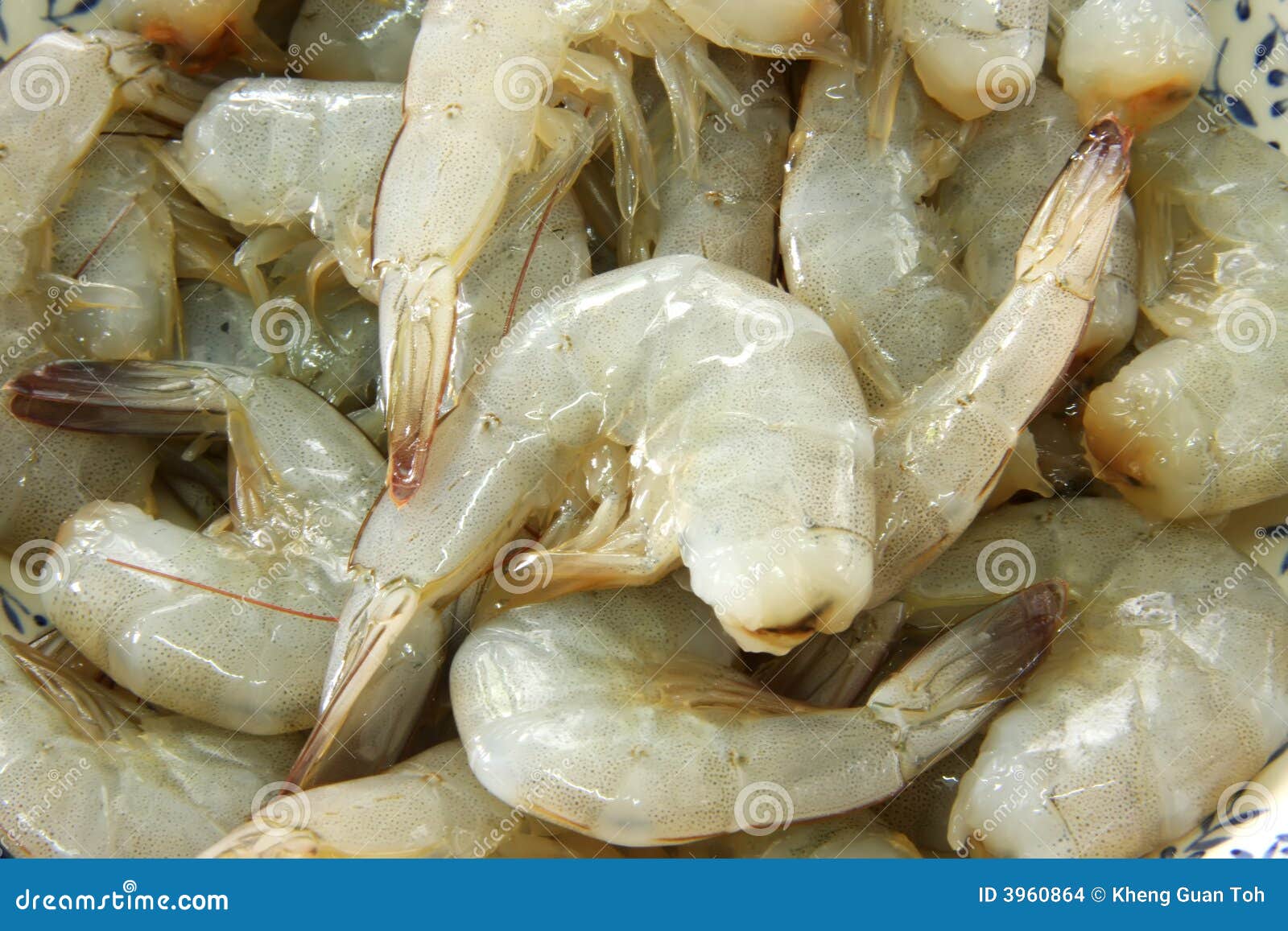 Whole raw prawns stock photo. Image of shrimp, shellfish - 3960864