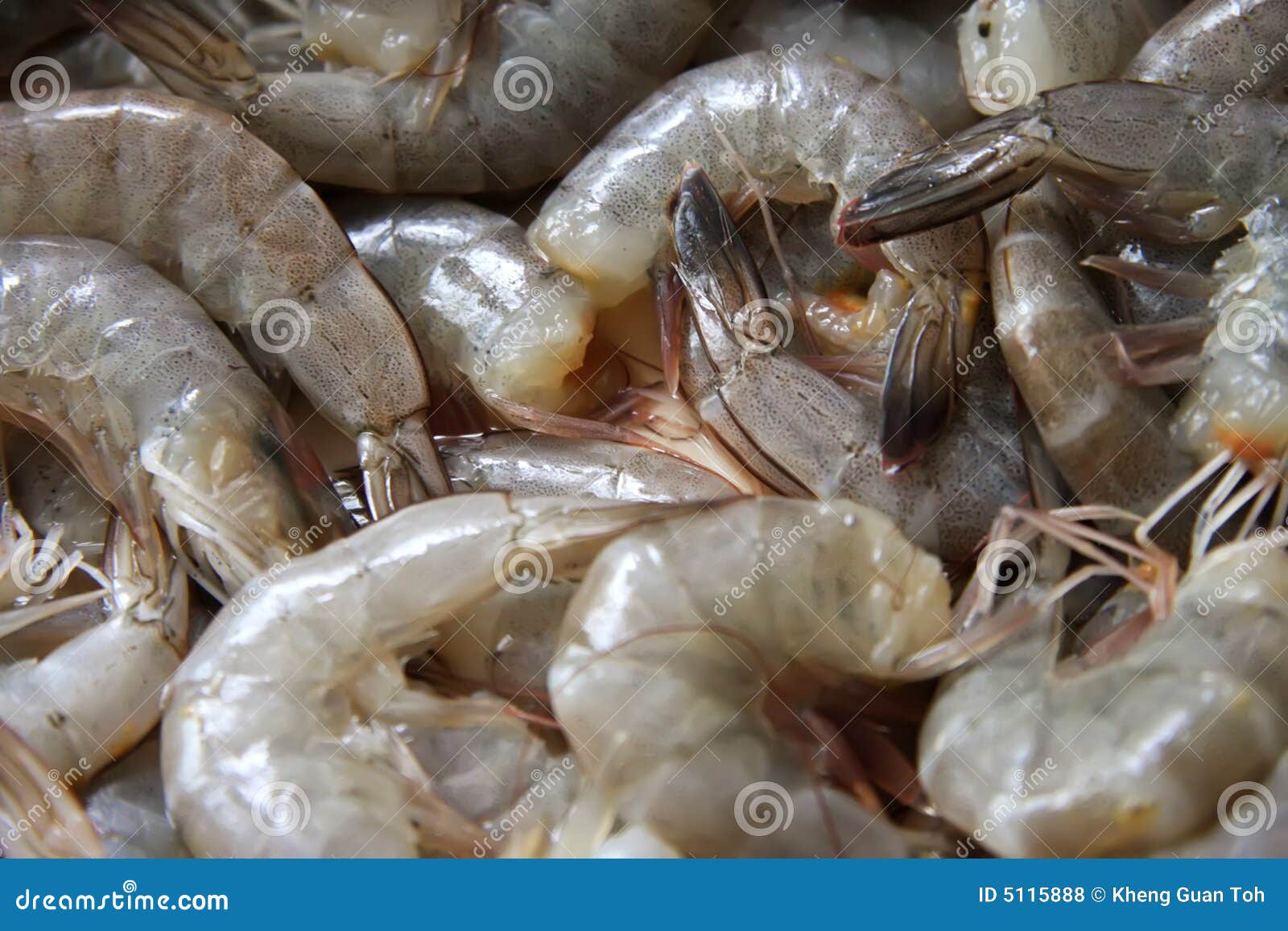 Whole raw prawns stock photo. Image of fresh, shell, preparation - 5115888