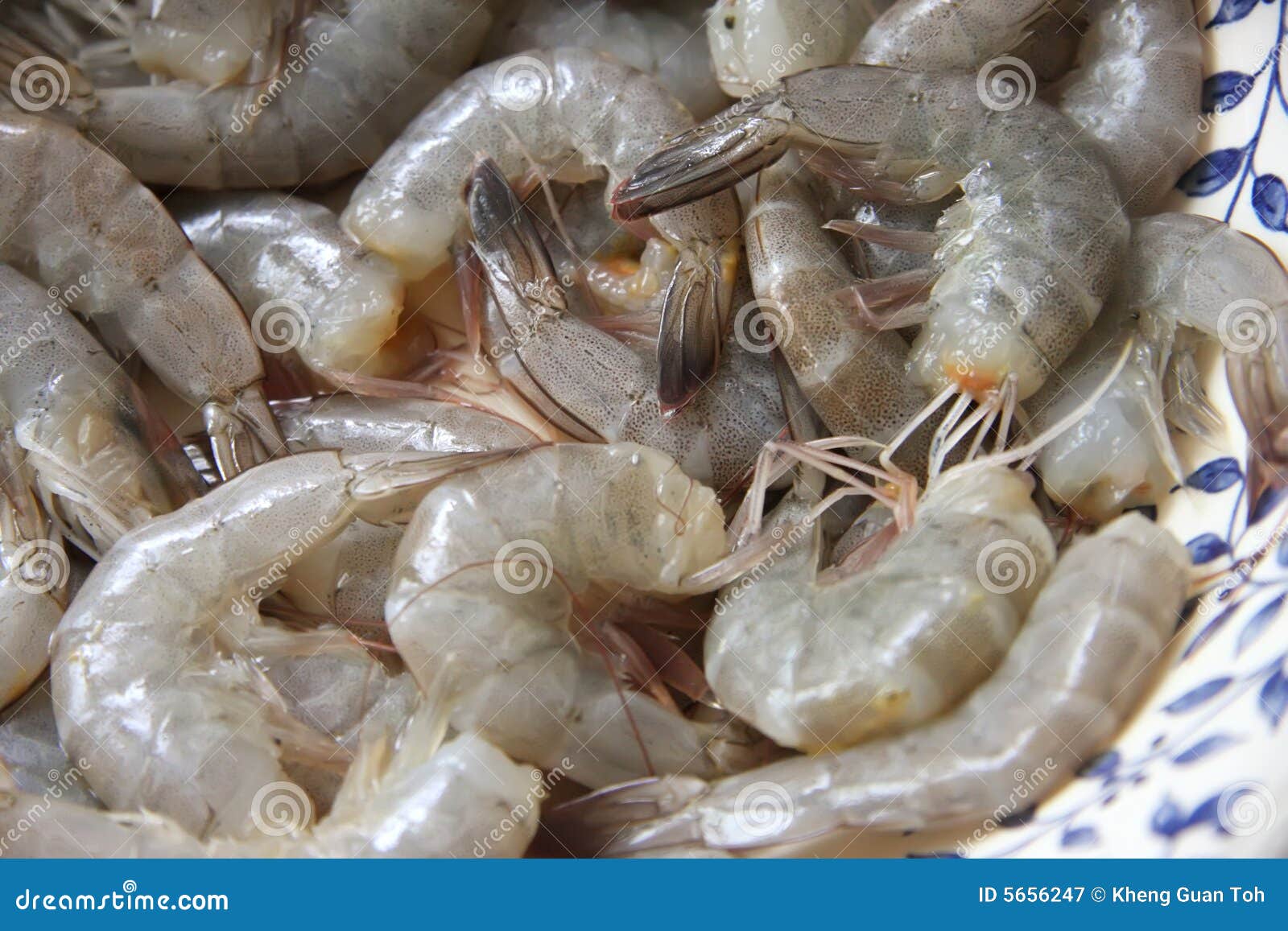 Whole raw prawns stock image. Image of fresh, closeup - 5656247