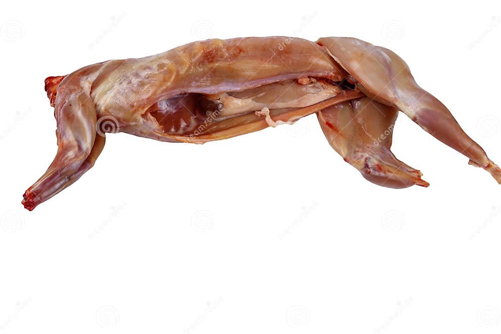 Whole Raw Rabbit Meat Isolated on White Background Stock Image - Image ...