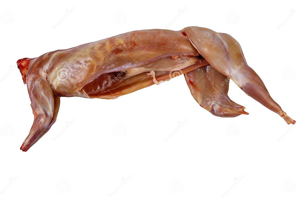 Whole Raw Rabbit Meat Isolated on White Background Stock Image - Image ...