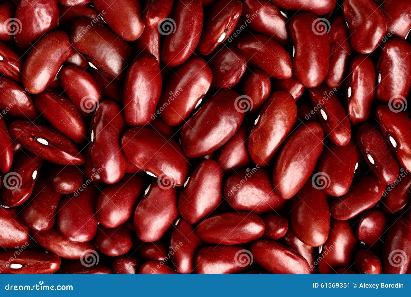 Whole Raw Red Kidney Beans Pattern Contrast Stock Image - Image of ...