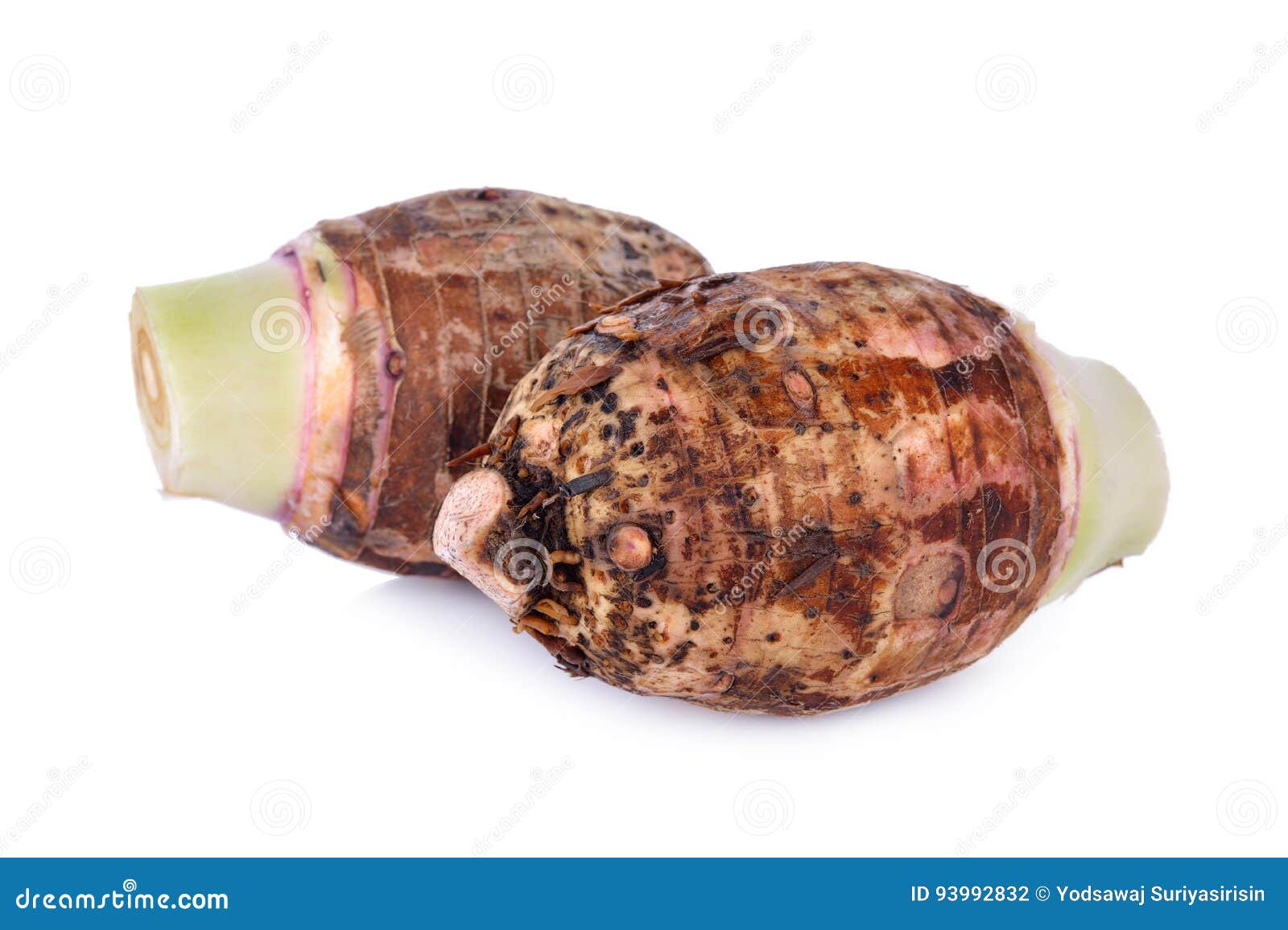 Whole Raw Taro On White Background Stock Photo - Image of organic ...