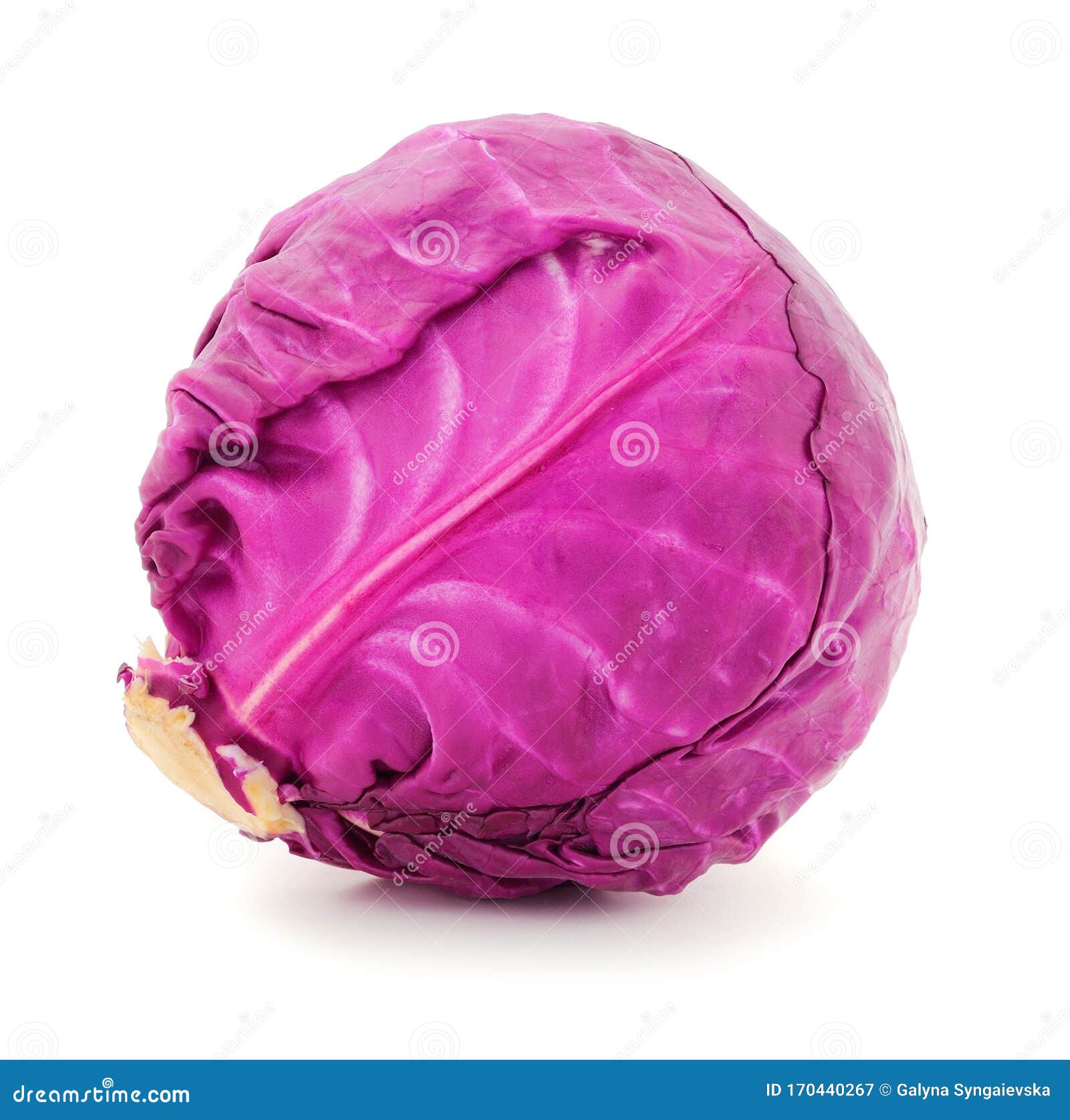 Whole red cabbage stock image. Image of color, path - 170440267