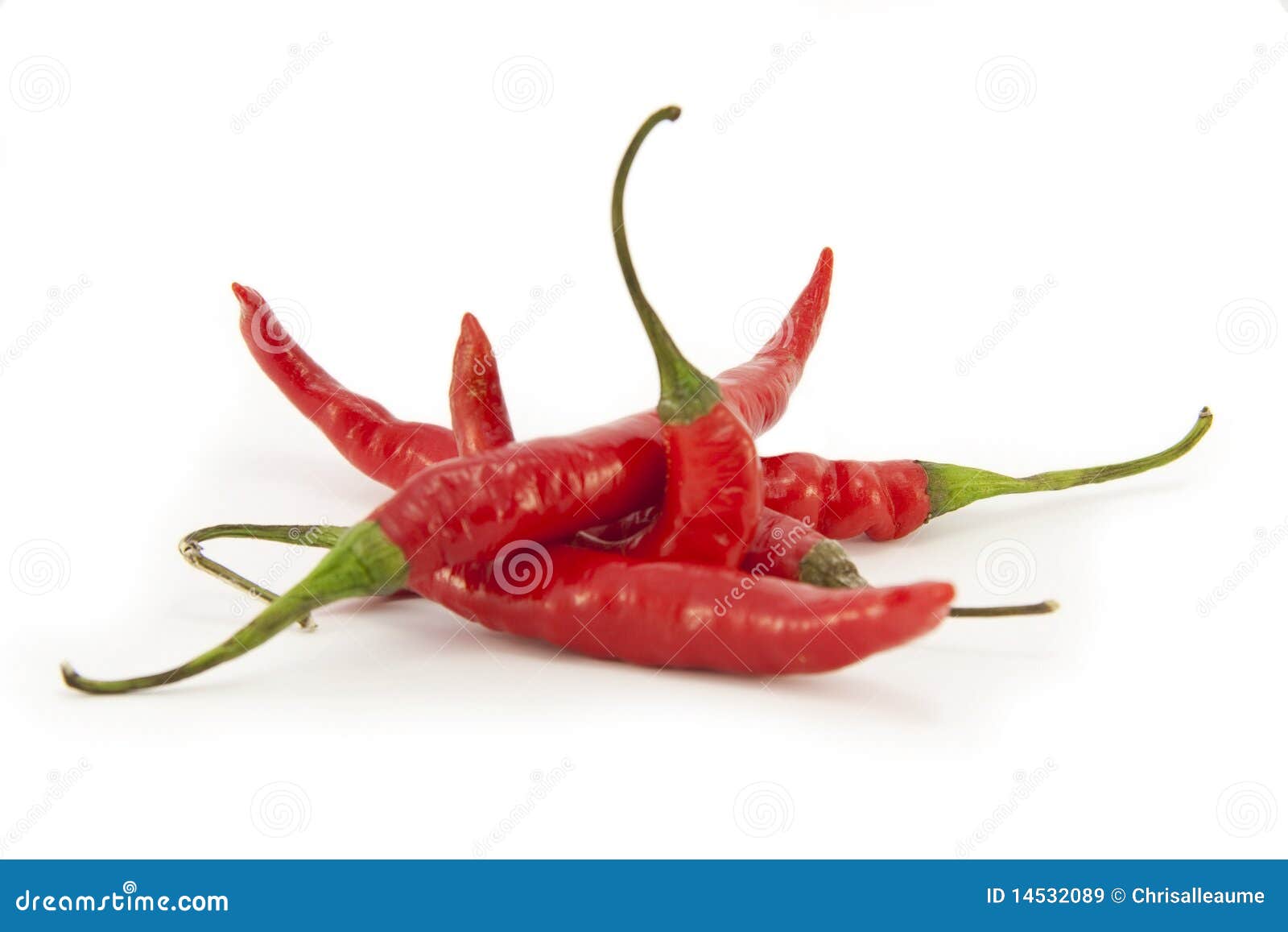 Whole red chillies stock image. Image of object, healthy - 14532089