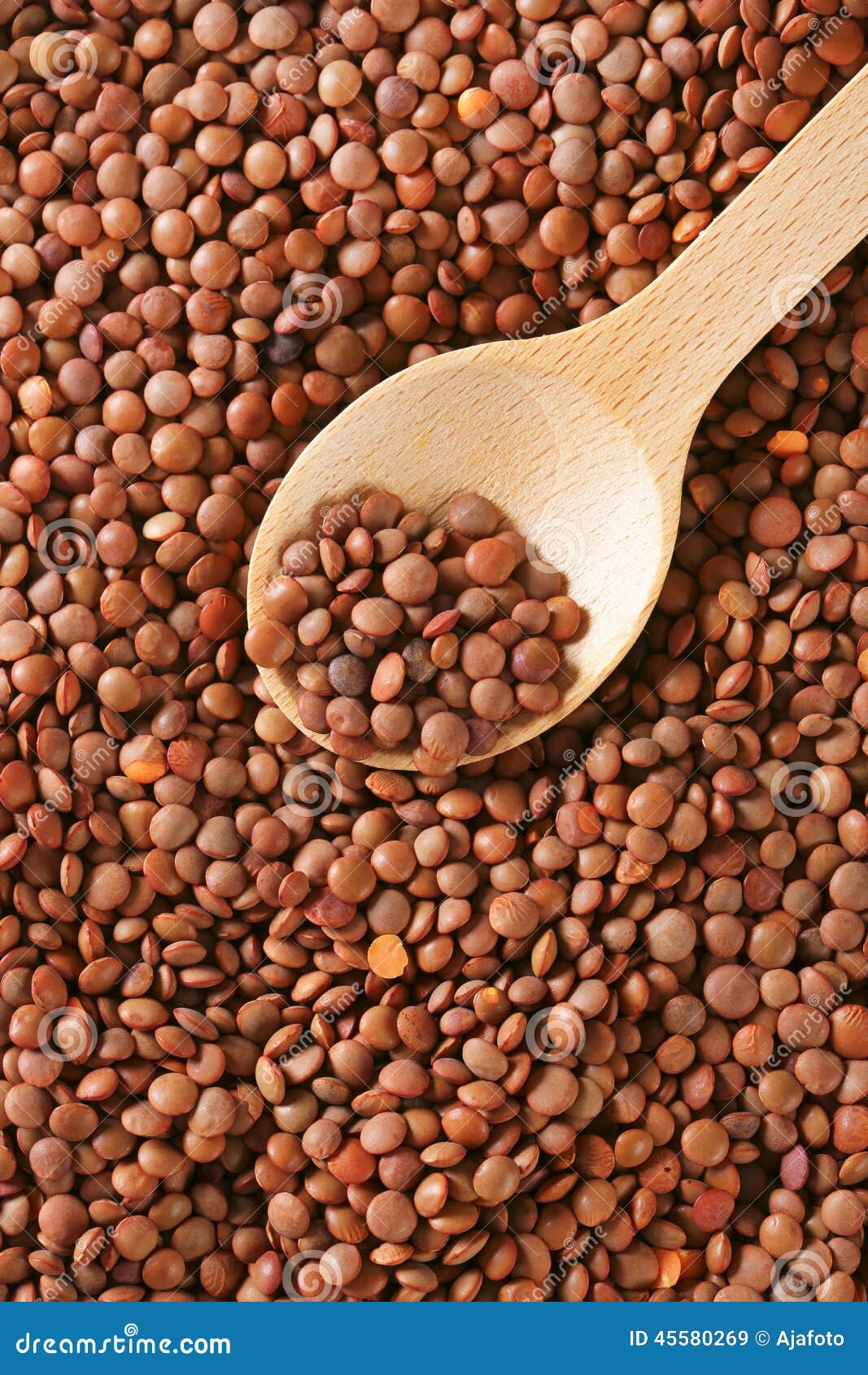 Whole red lentils stock image. Image of lentils, culinaris - 45580269