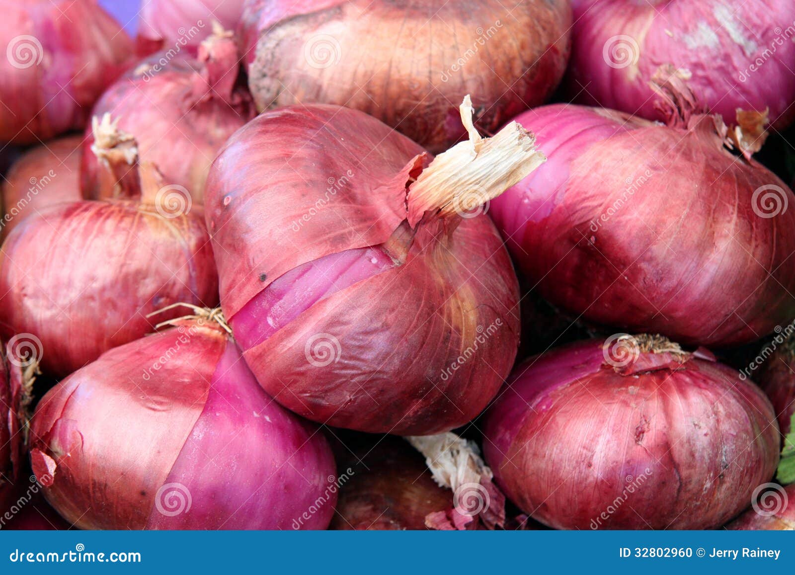 Whole red onions stock photo. Image of onions, skin, nutritious - 32802960