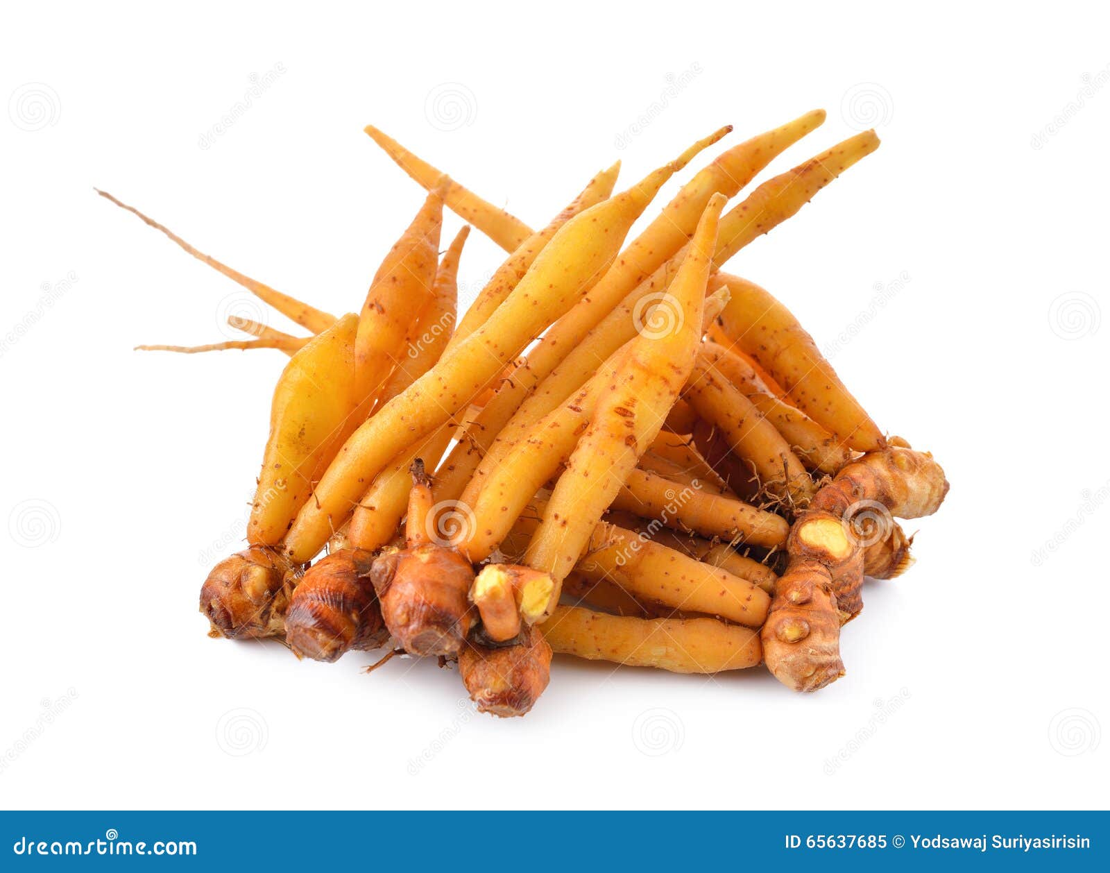 Whole Rhizome, Finger Root on White Stock Image - Image of texture ...