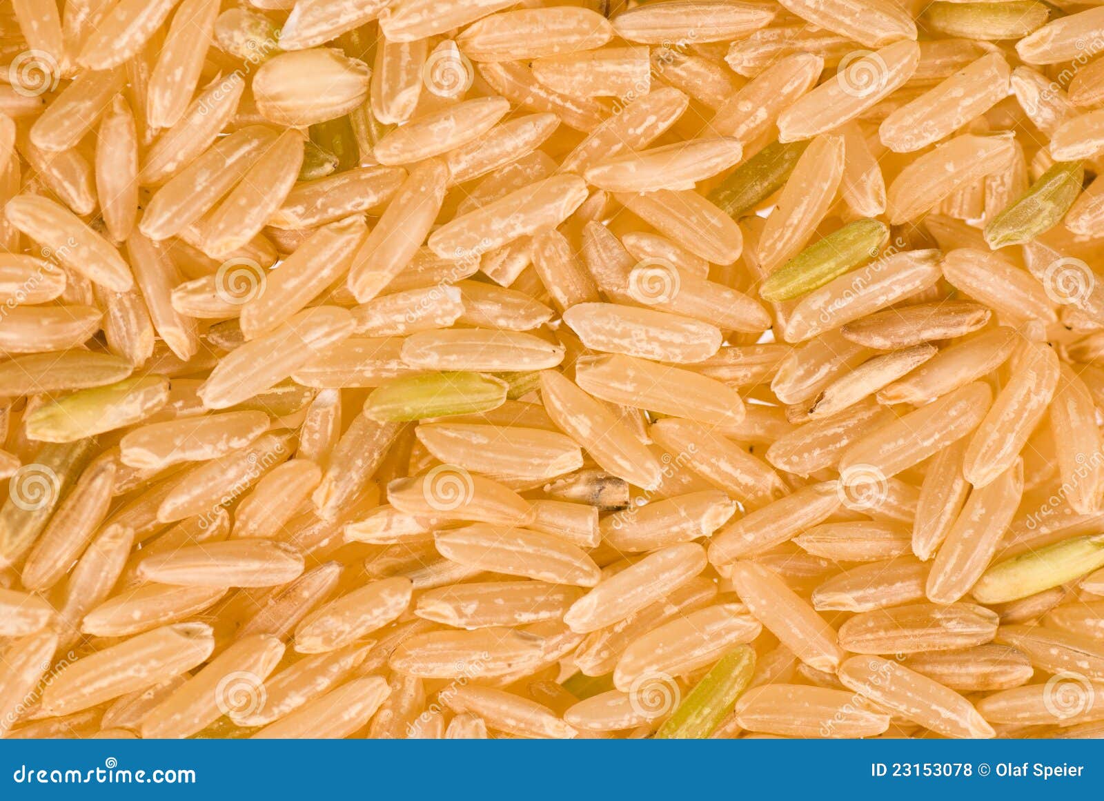 Whole rice grains stock photo. Image of cereal, healthy - 23153078