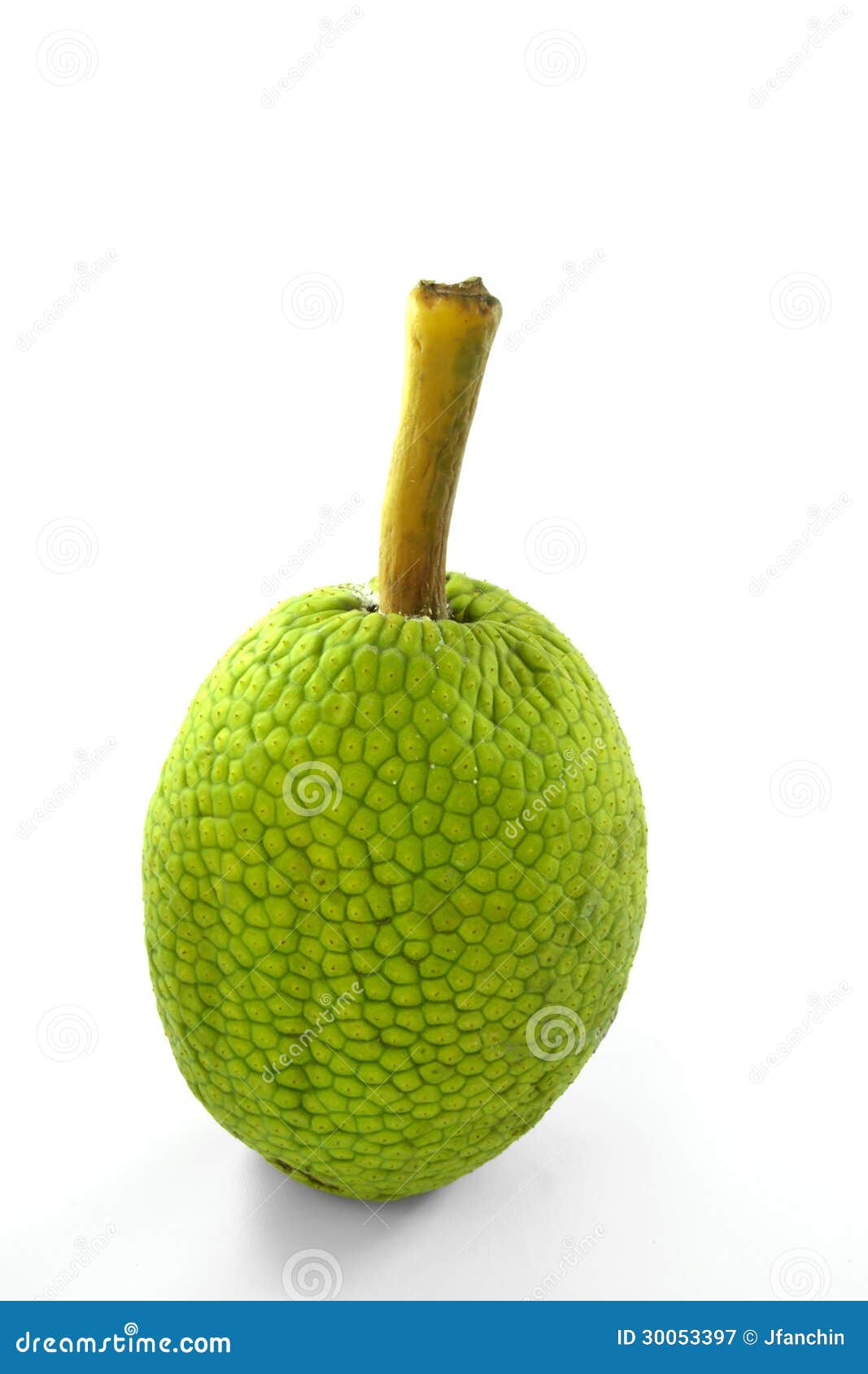 1,126 Ripe Breadfruit Stock Photos - Free & Royalty-Free Stock Photos ...
