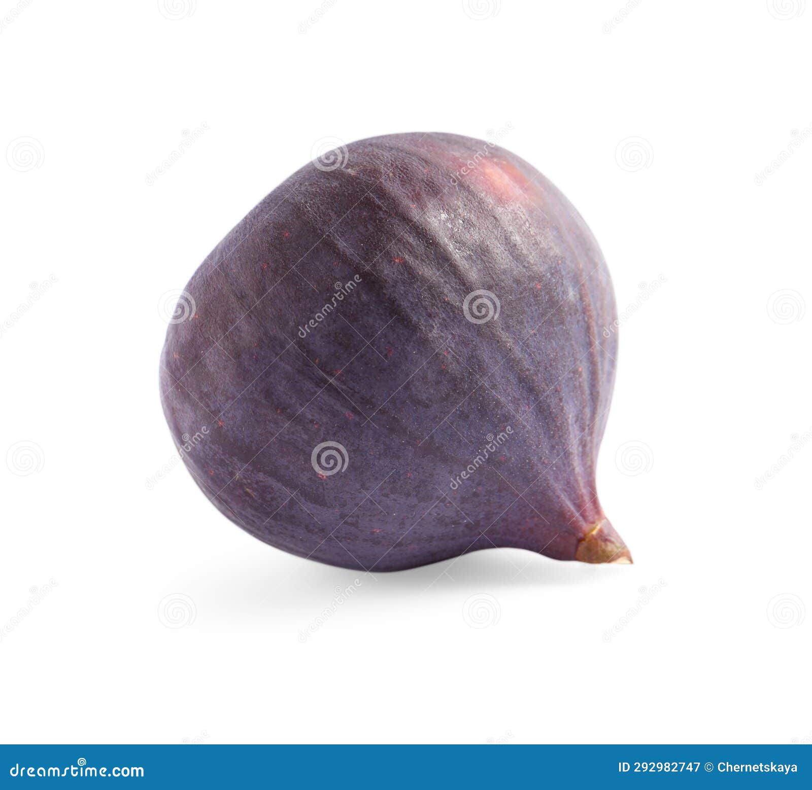 Whole Ripe Fresh Fig Isolated on White Stock Image - Image of single ...