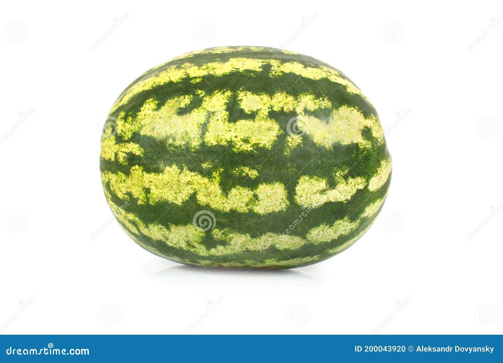 A Whole Ripe Green Round Watermelon. Isolated on White Stock Photo ...