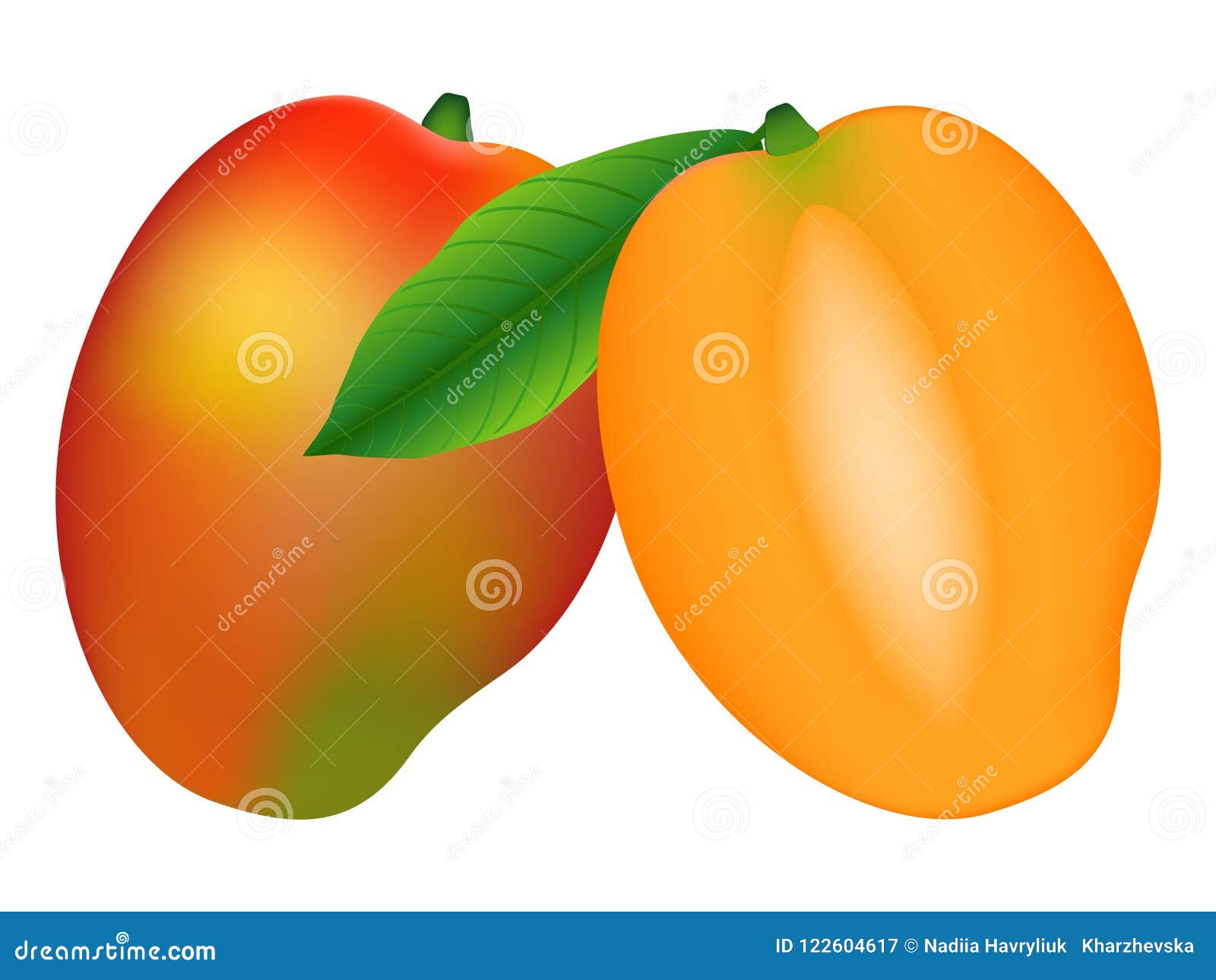 Whole Ripe Mango and Half with Bone Isolated on White Background. Stock ...