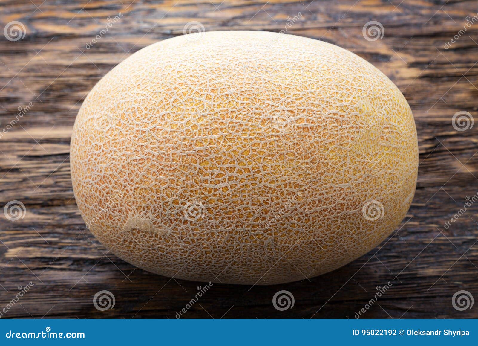 A whole ripe melon stock photo. Image of cuisine, green - 95022192