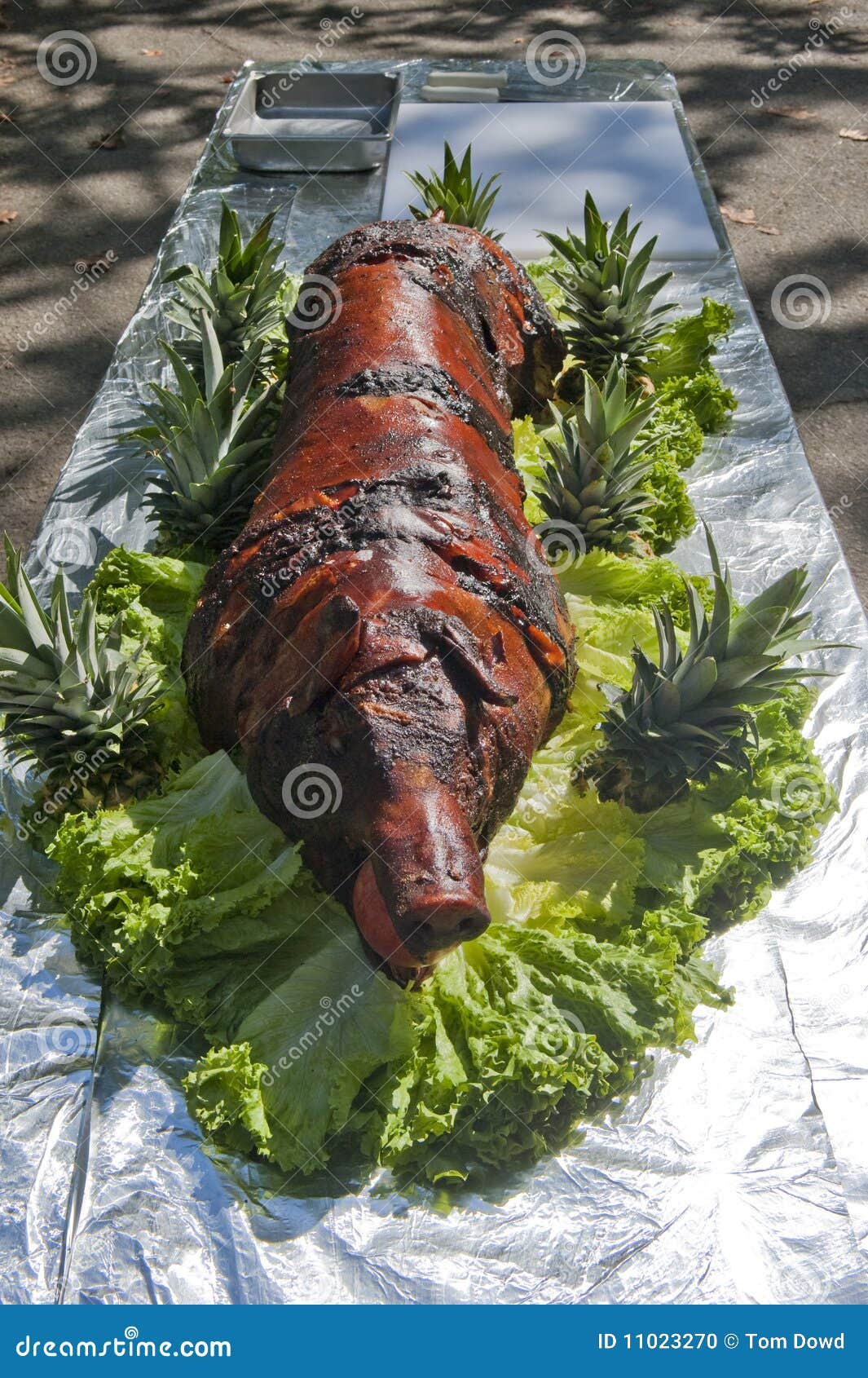Whole roast pig stock photo. Image of delicious, outside - 11023270