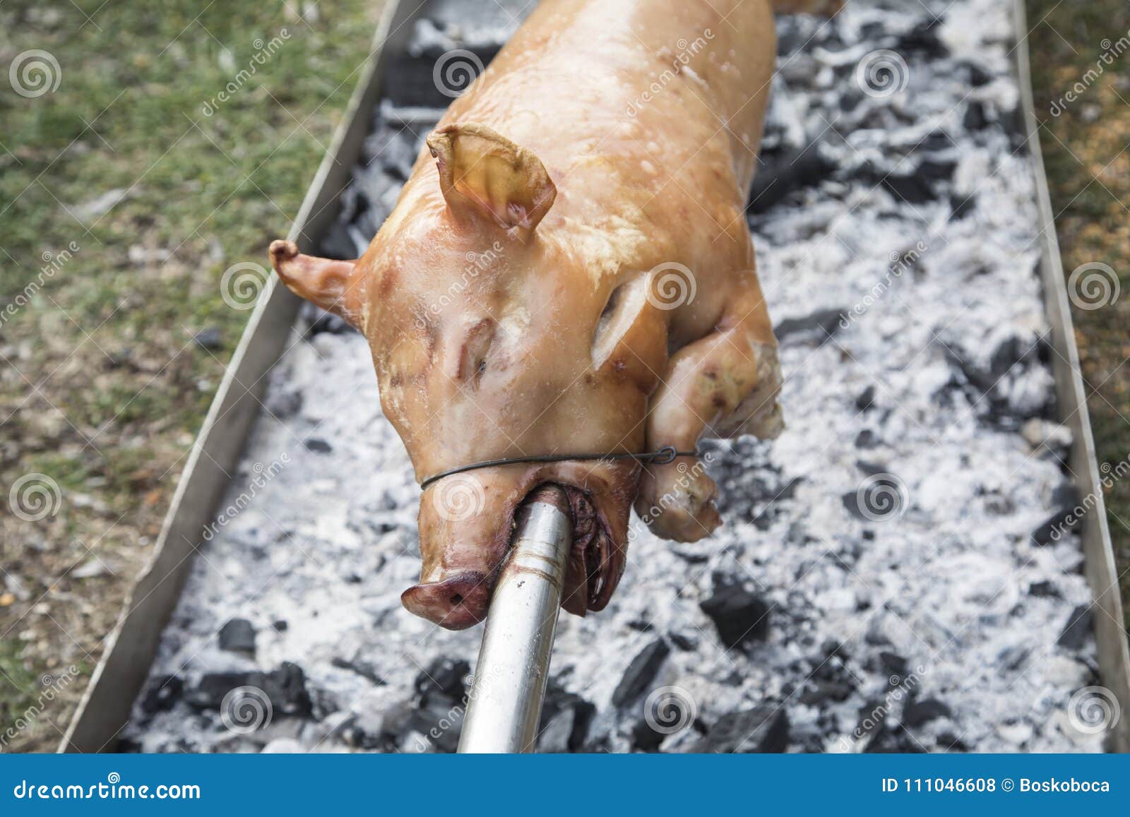 Whole roast pig stock photo. Image of piglet, roast - 111046608