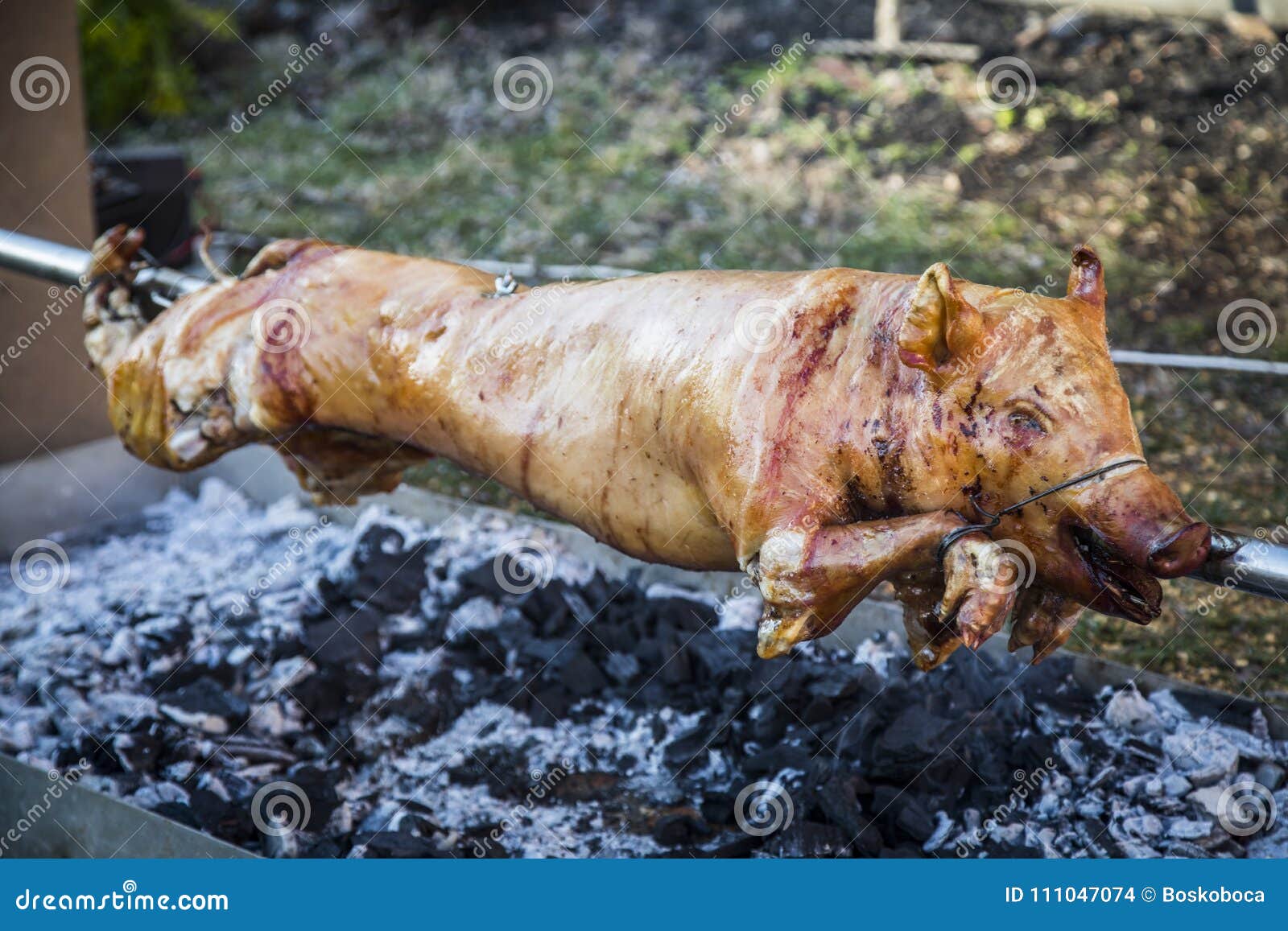 Whole roast pig stock photo. Image of barbecue, cooked - 111047074
