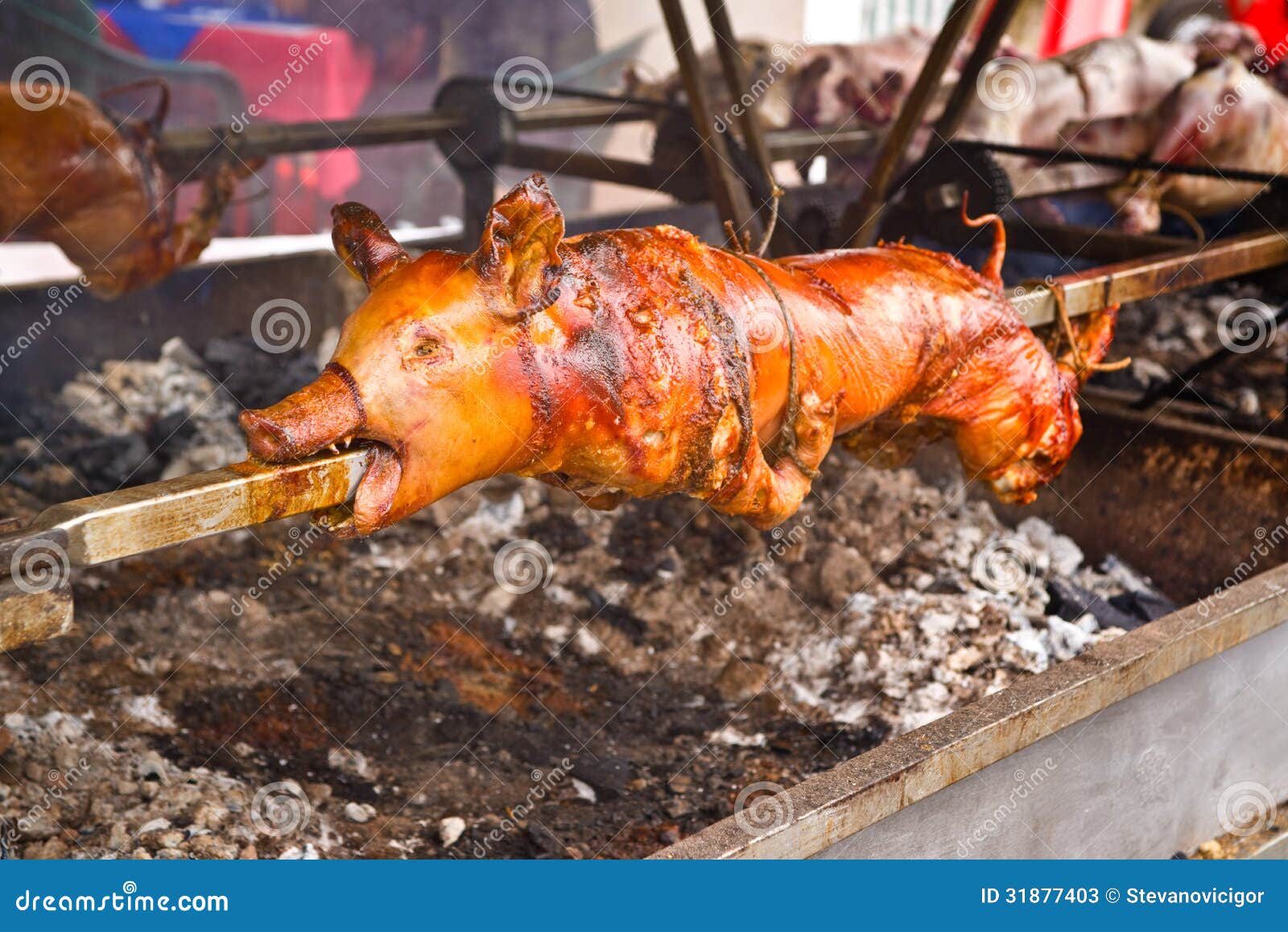 Whole roasted pig stock image. Image of roasted, meal - 31877403