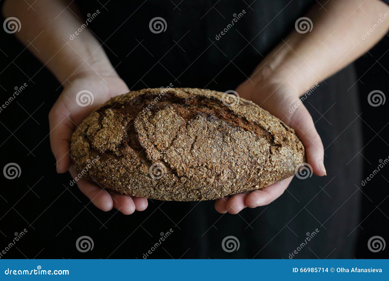 Whole rustic bread in hand stock photo. Image of healthy - 66985714