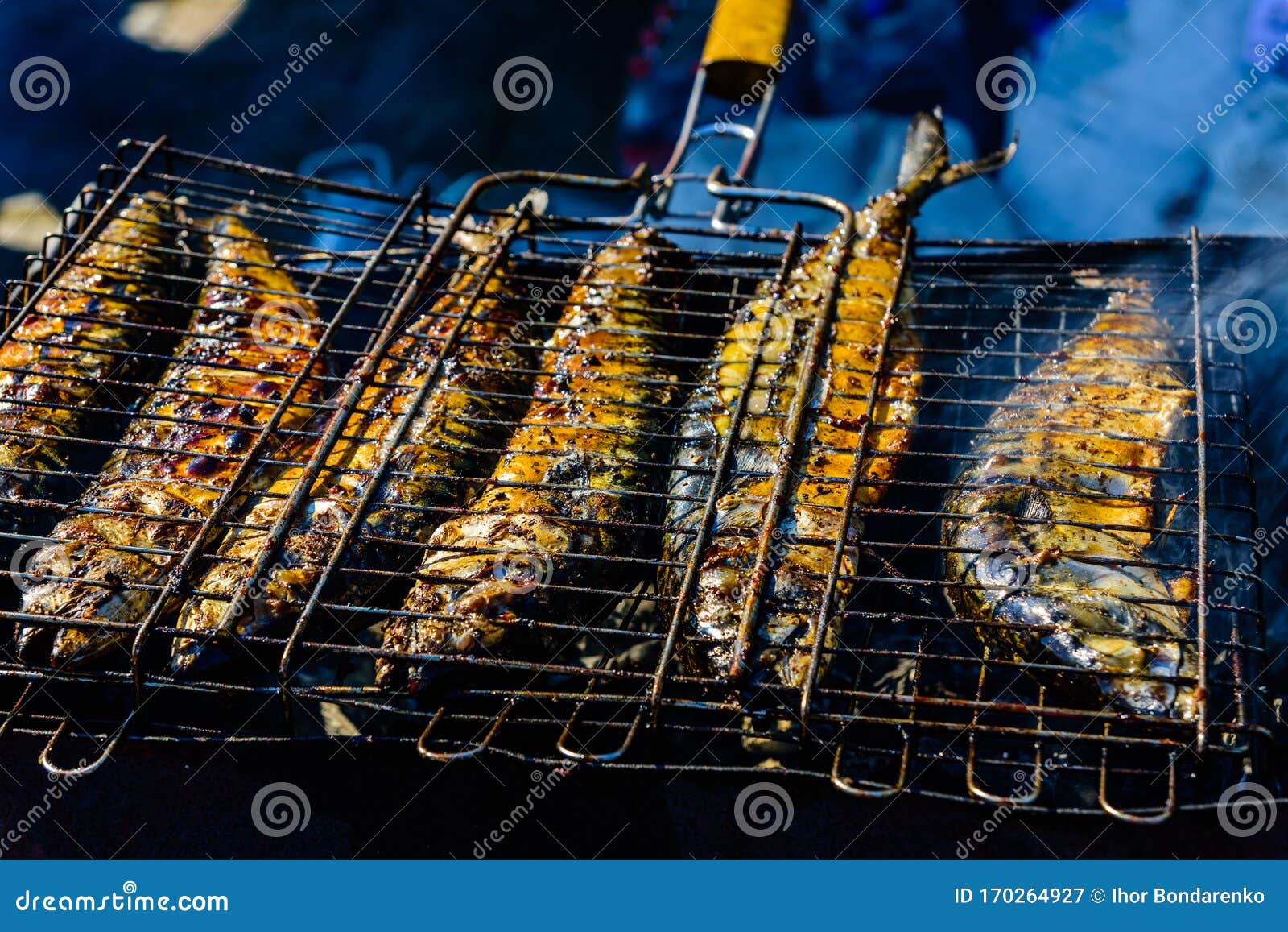 Whole Scomber Fish Cooking in a Metal Grate Grill Stock Image - Image ...