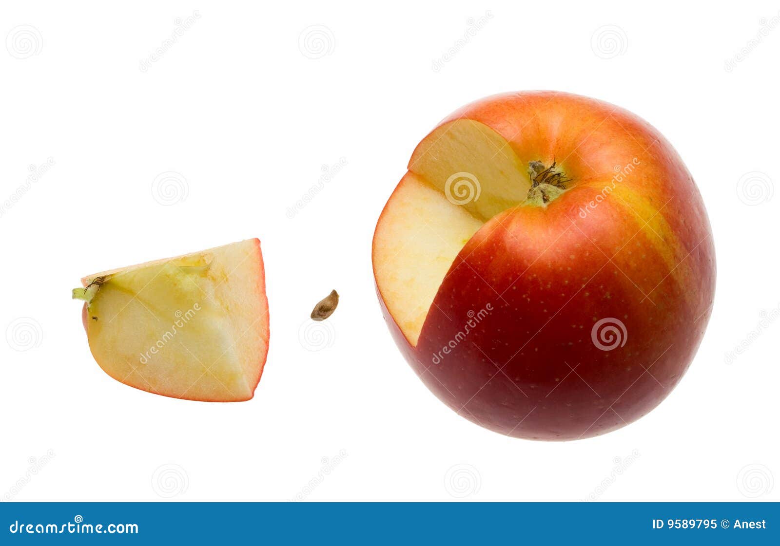 Quarter Of Apple Stock Photography | CartoonDealer.com #28501646