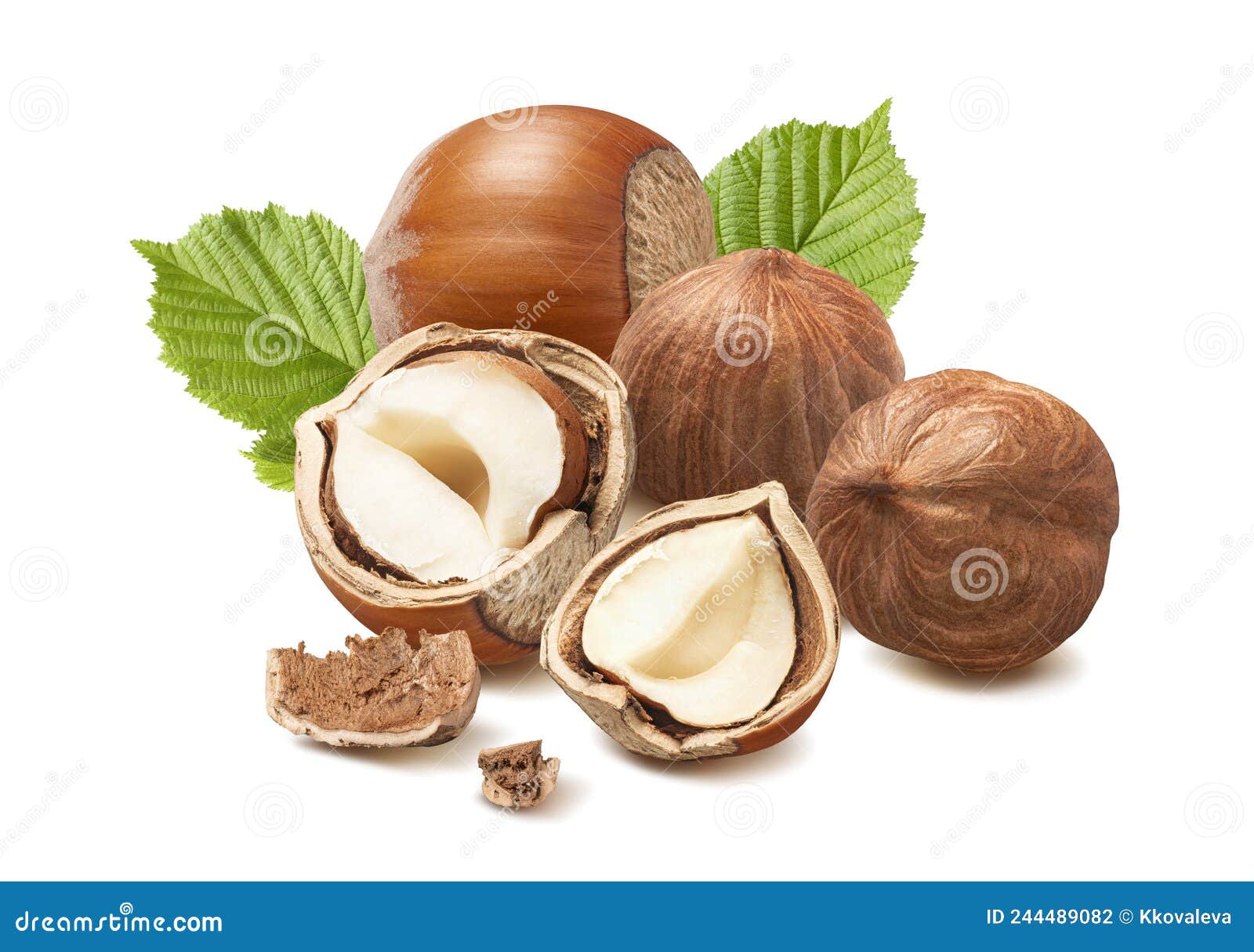 Whole and Shelled Hazelnuts with Leaves Isolated on White Background ...