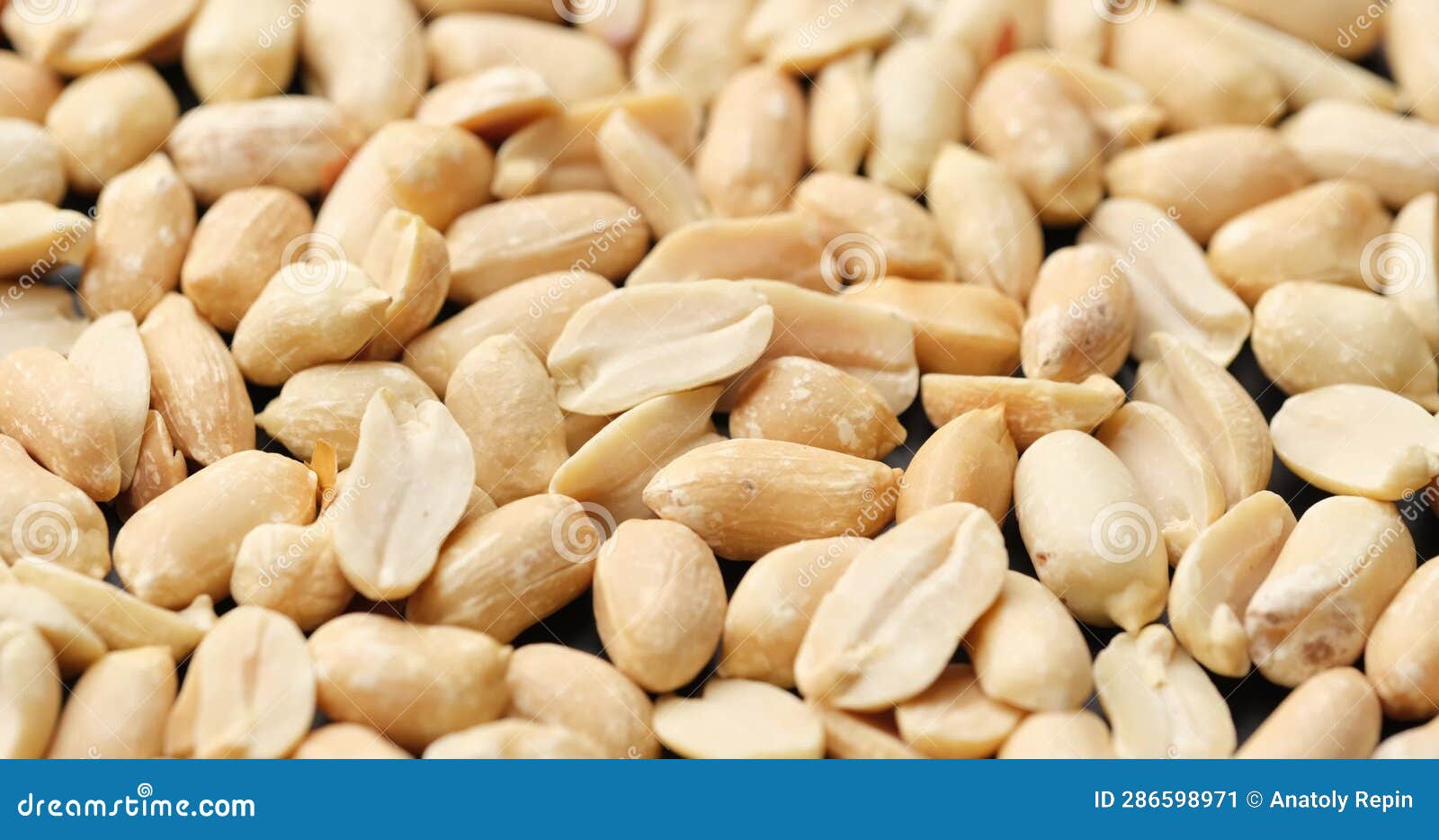 Whole Shelled Peanut Nuts Kernels Close-up on Rotating Platform Stock ...
