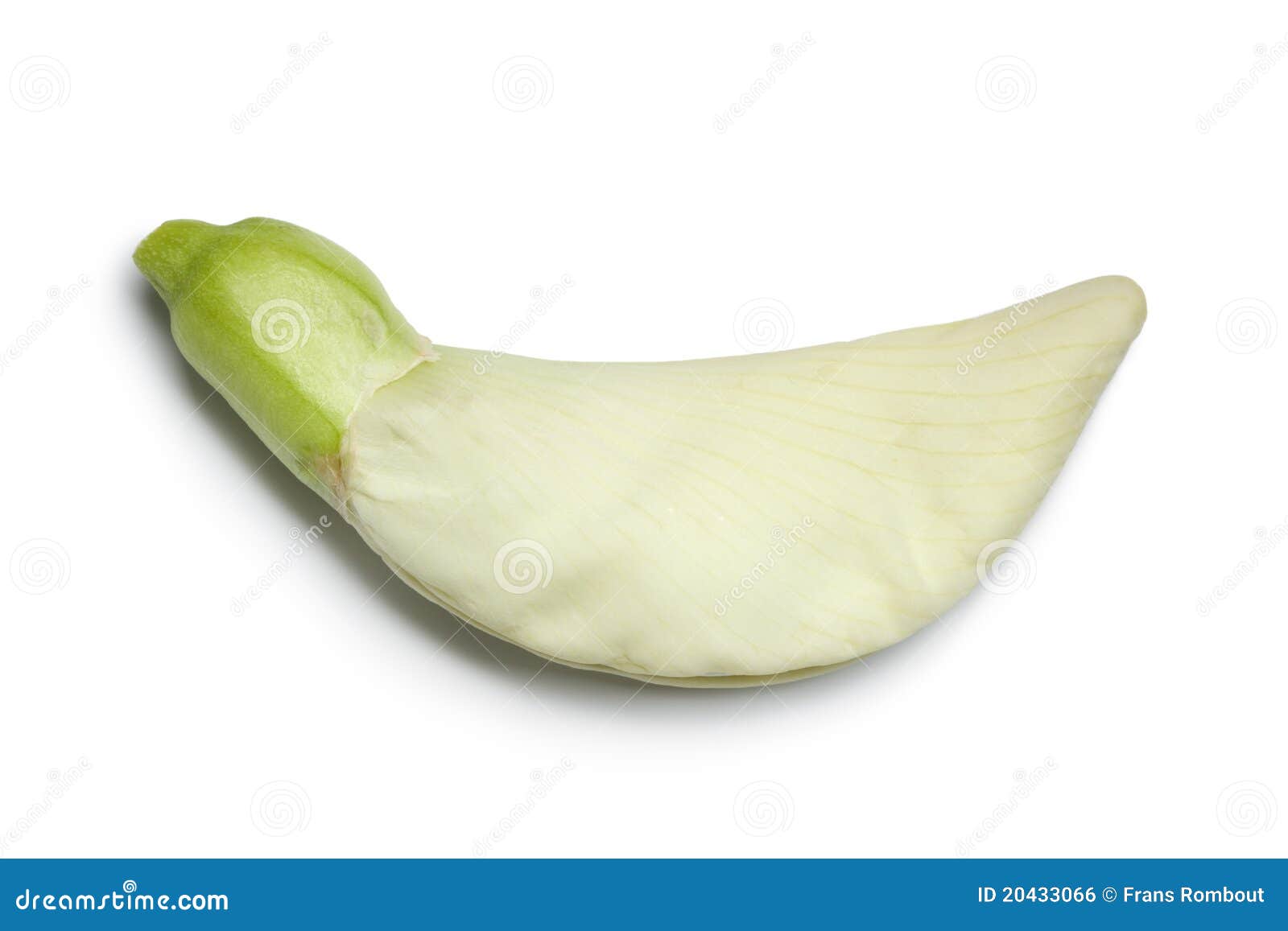 Whole Single Dok Kae Edible Flower Stock Photo - Image of thailand ...