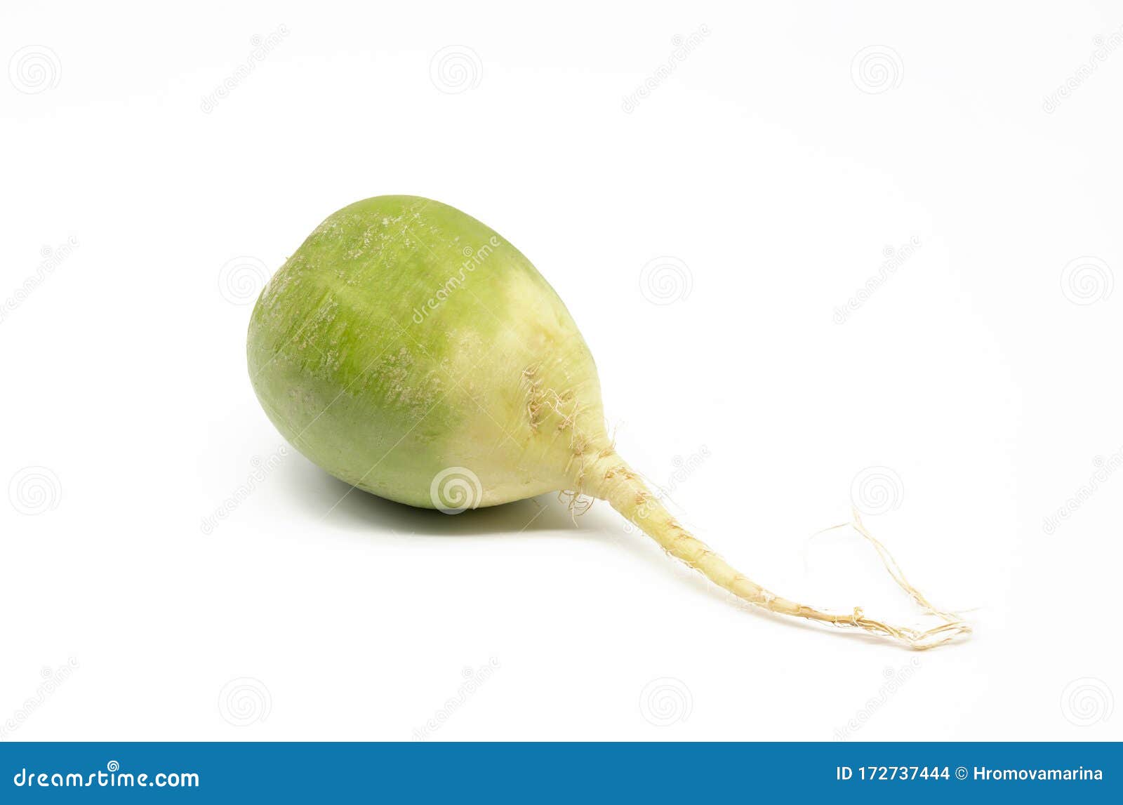 Whole Single Green Radish Isolated on White Background Stock Photo ...