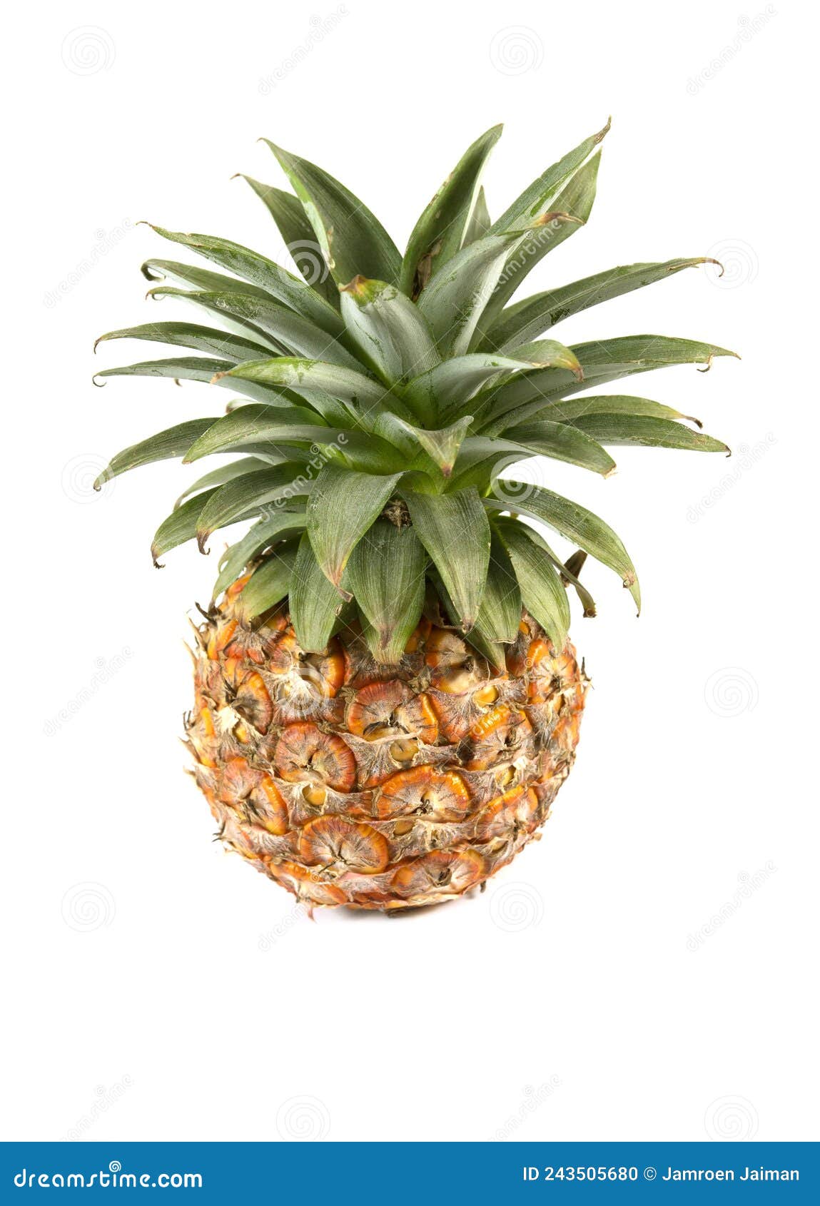 Whole Single Pineapple Isolated on White Background Stock Photo - Image ...
