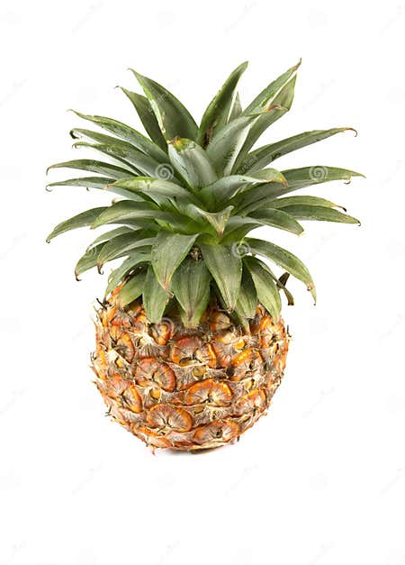 Whole Single Pineapple Isolated on White Background Stock Photo - Image ...