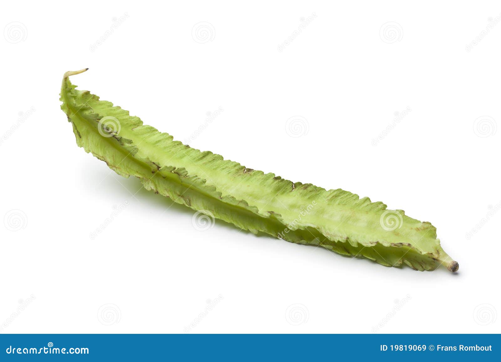 The Winged Bean,with Clipping Path,Winged Beans Contain Carbohydrates ...