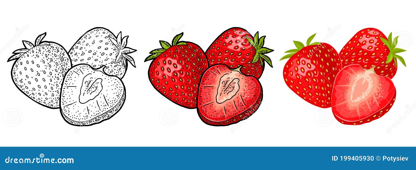 Whole and Slice Strawberry. Vector Engraving and Flat Icon Stock Vector ... Whole and Slice Strawberry. Vector Engraving and Flat Icon Stock Vector ...